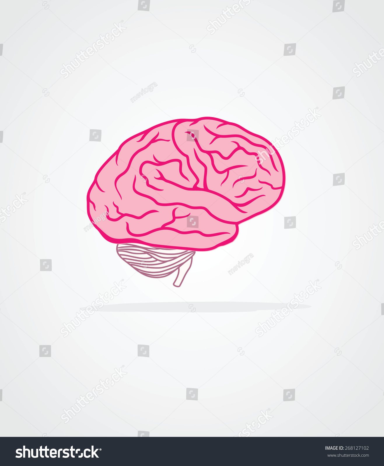Human Brain Simple Vector Illustration Stock Vector (Royalty Free ...