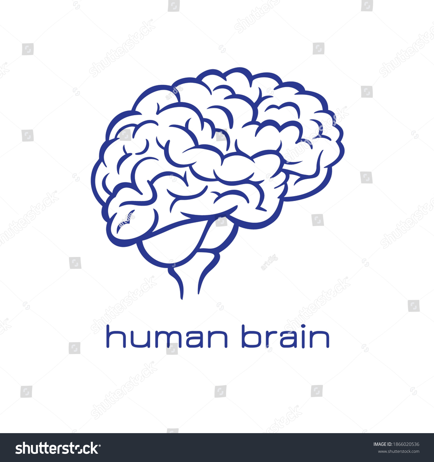 Human Brain Symbol Vector Illustration: เวกเตอร์สต็อก (ปลอดค่าลิขสิทธิ์ ...