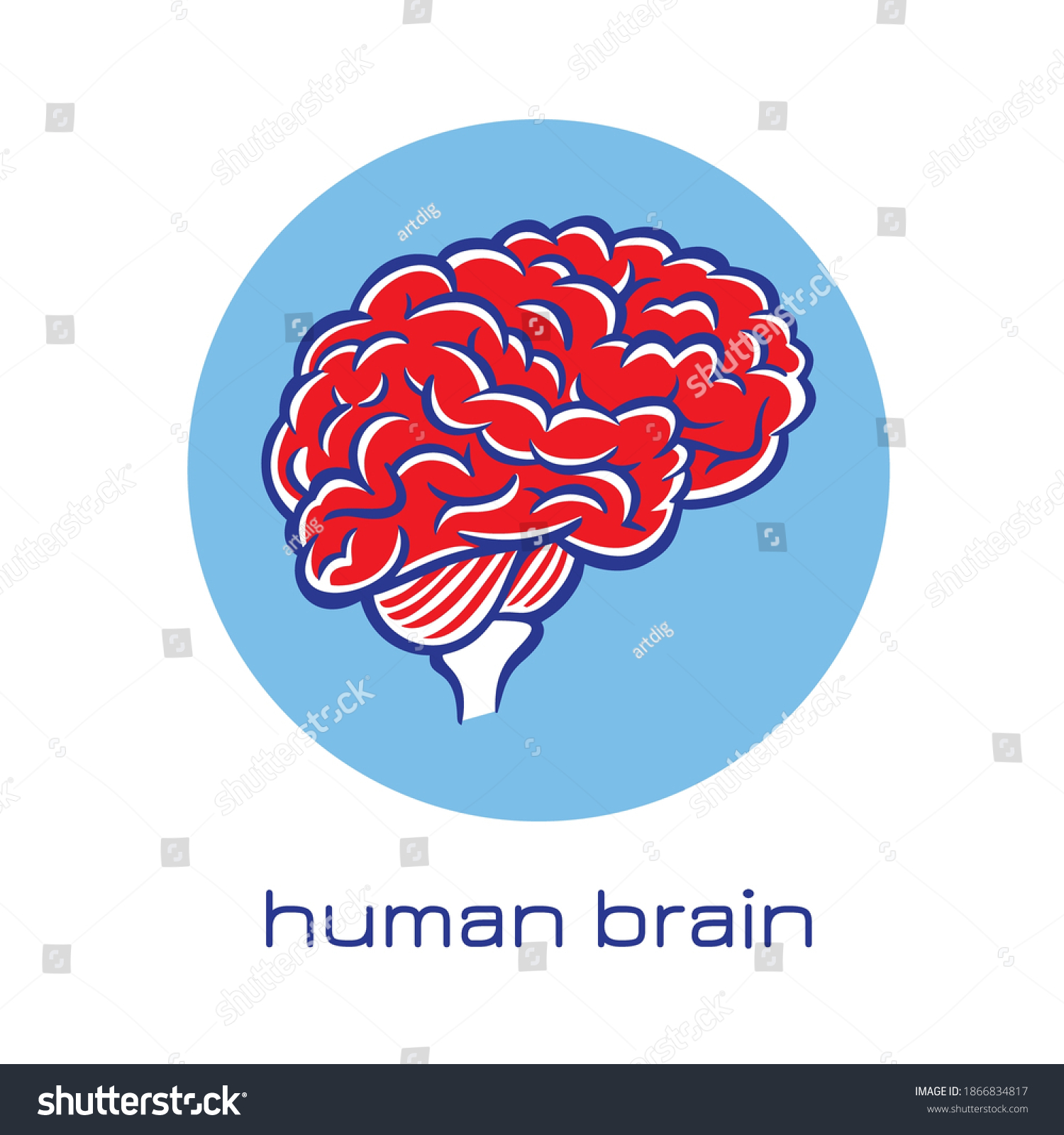 Human Brain Symbol Vector Illustration Stock Vector (Royalty Free ...