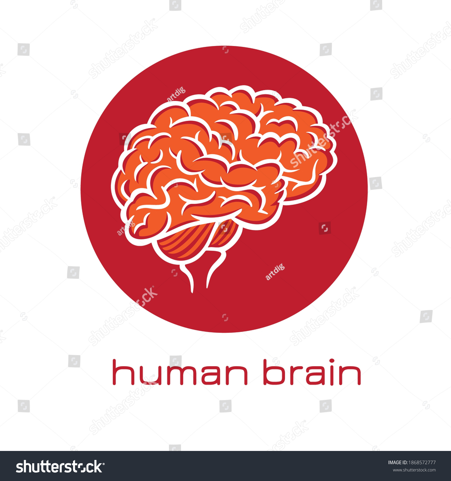 Human Brain Symbol Vector Illustration Stock Vector (Royalty Free ...