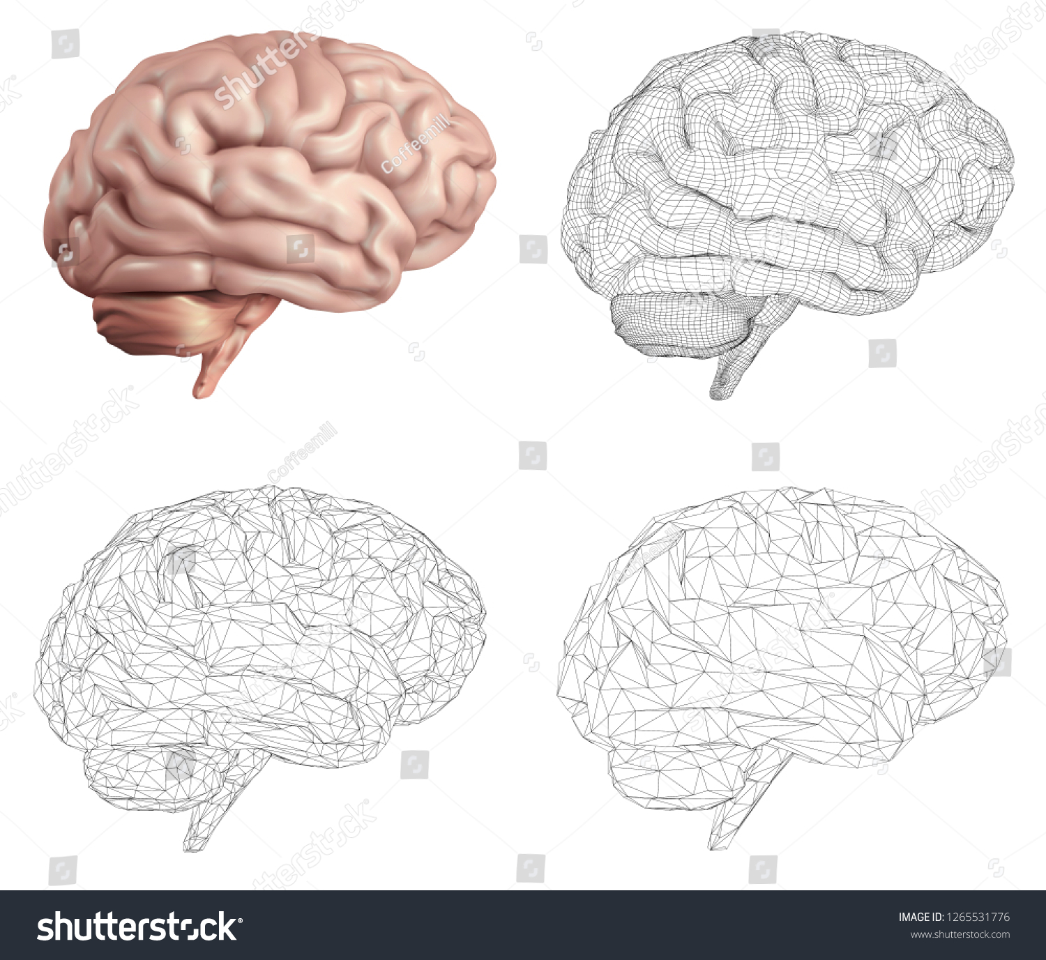 Human Brain Vector Set Different Styles Stock Vector (Royalty Free ...