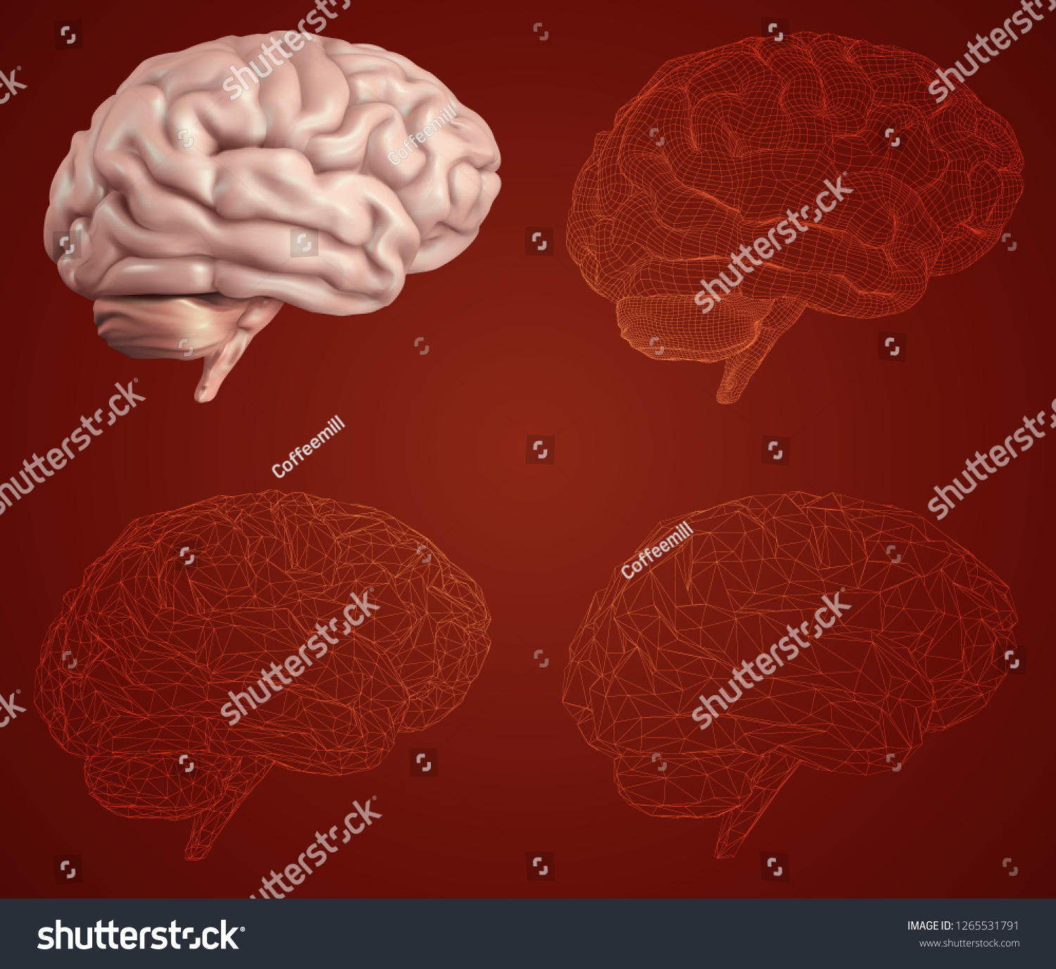 Human Brain Vector Set Different Styles Stock Vector (Royalty Free ...