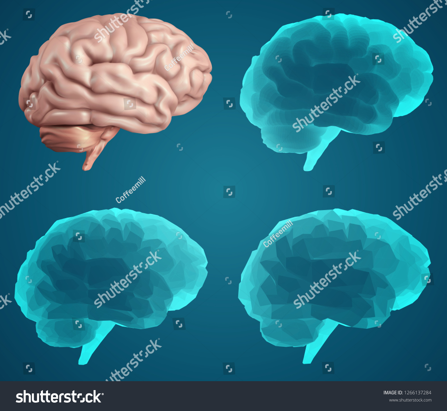 Human Brain Vector Set Different Styles Stock Vector (Royalty Free ...