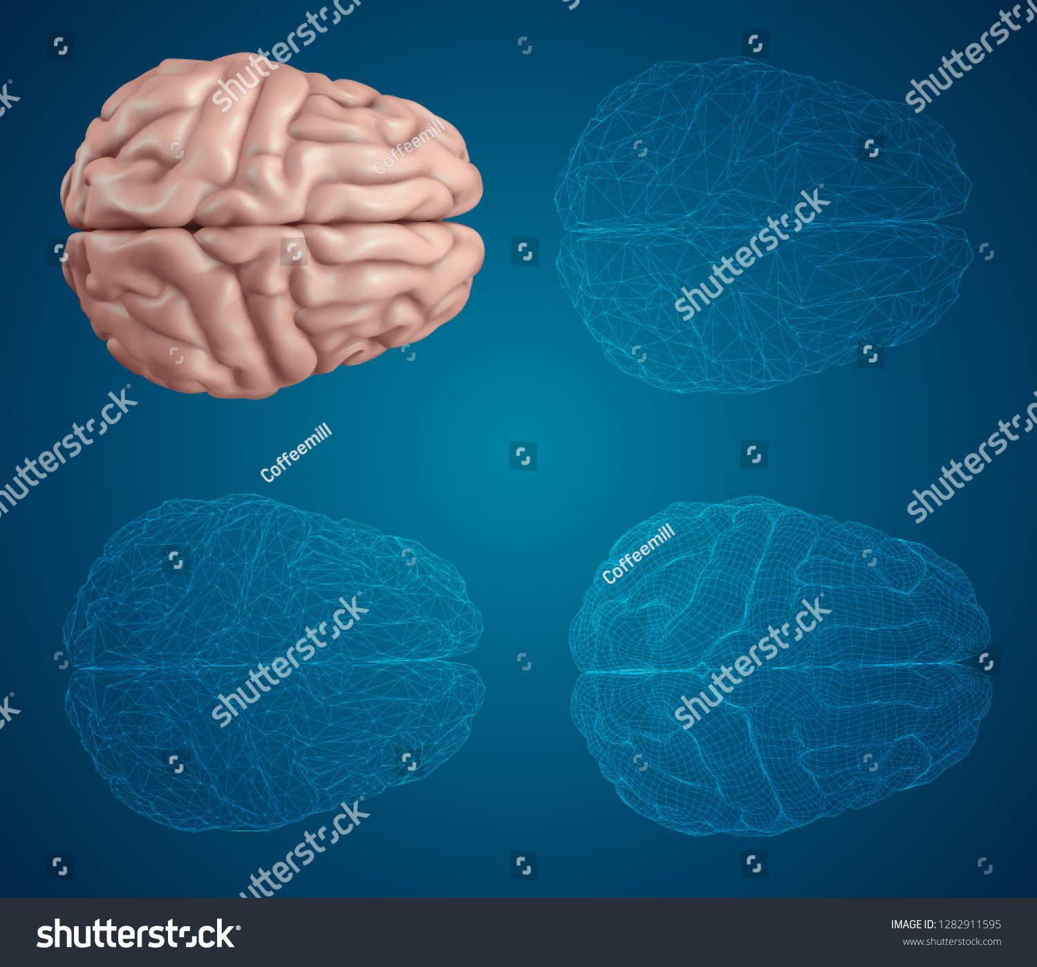 Human Brain Vector Set Different Styles Stock Vector (Royalty Free ...
