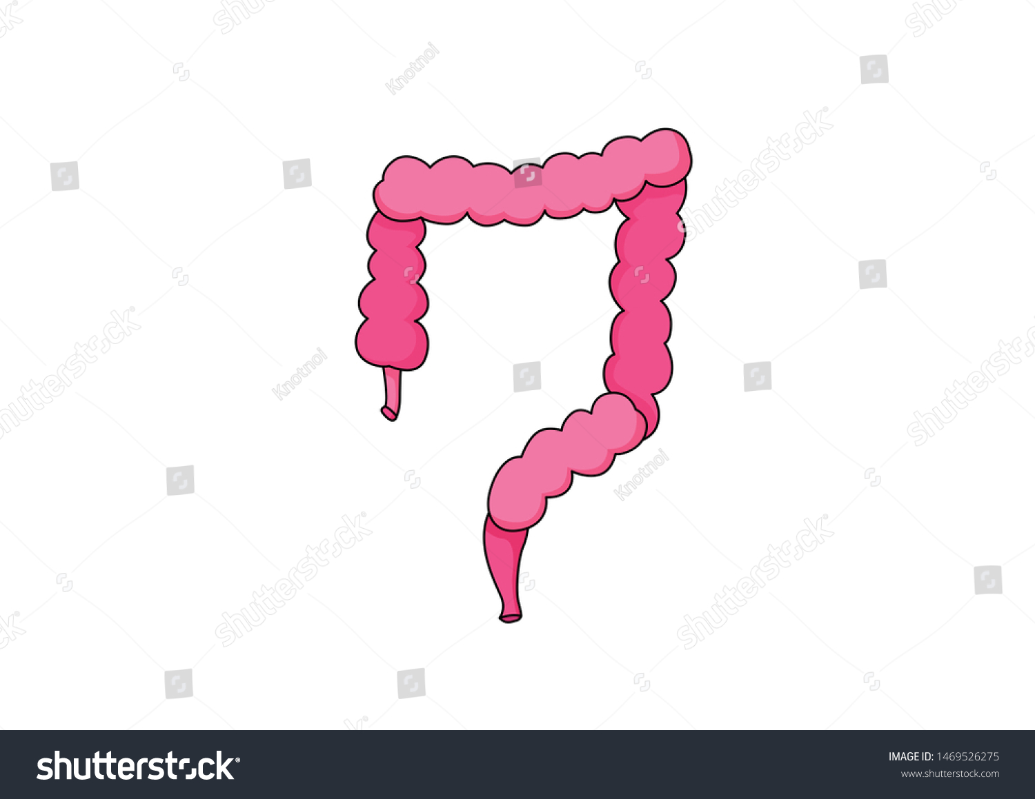 Human Digestive System Cartoon Vector Illustration Stock Vector ...