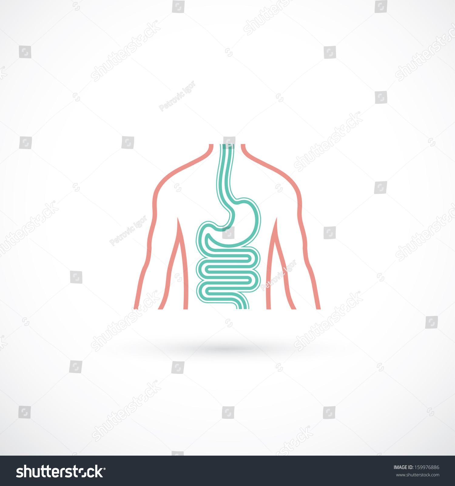 Human Digestive System Symbol Vector Illustration Stock Vector (Royalty ...