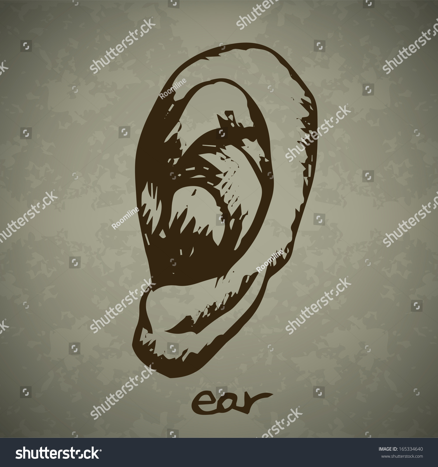 Human Ear Hand Drawn Outline Artwork Stock Vector (Royalty Free ...