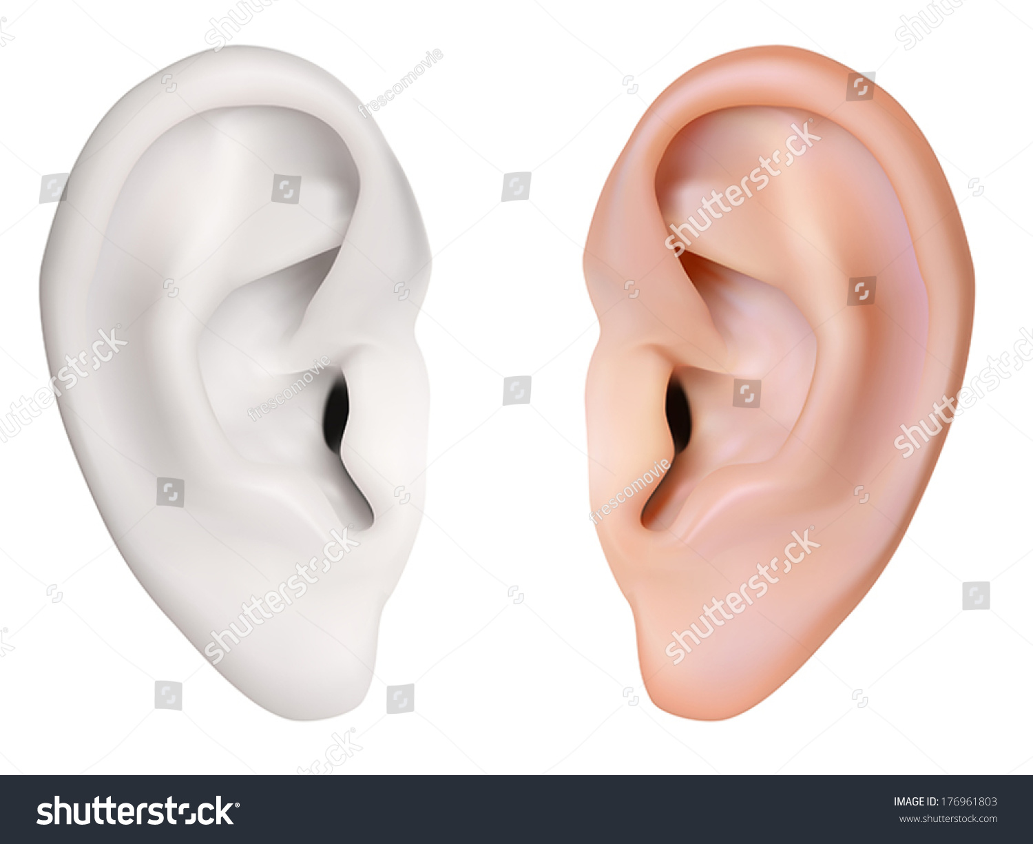 Human Ear Vector Illustration Stock Vector (Royalty Free) 176961803