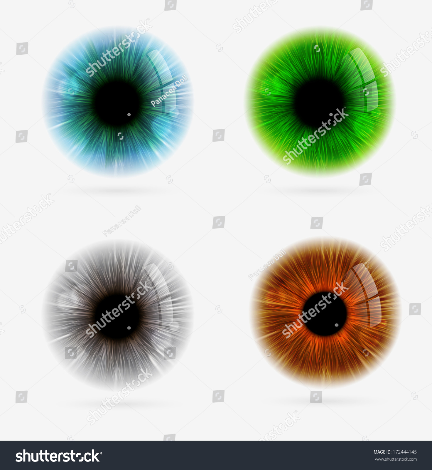 Human Eye Color Stock Vector (Royalty Free) 172444145