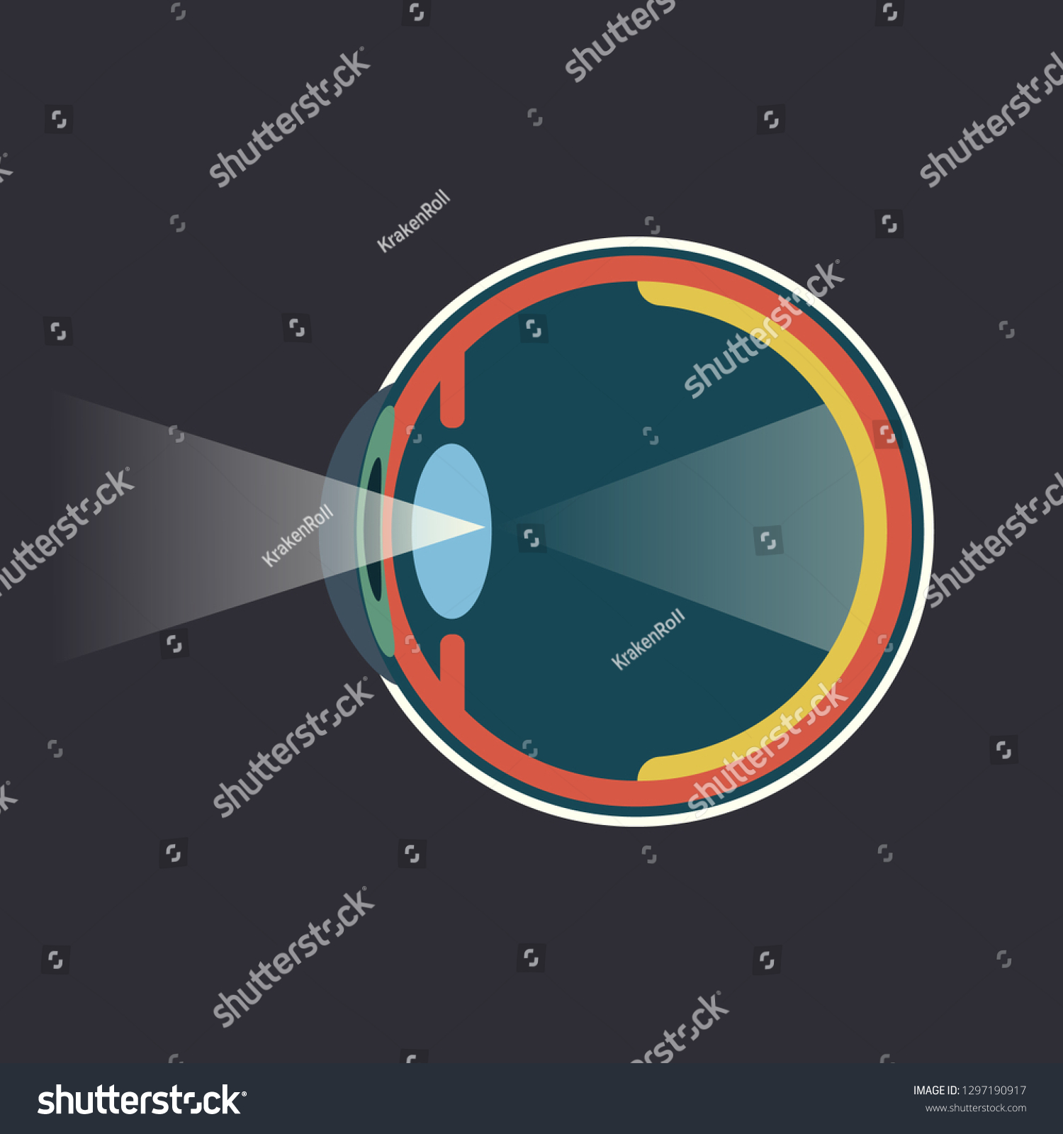 Human Eye Dissection Infograpgic Scheme Stock Vector (Royalty Free ...