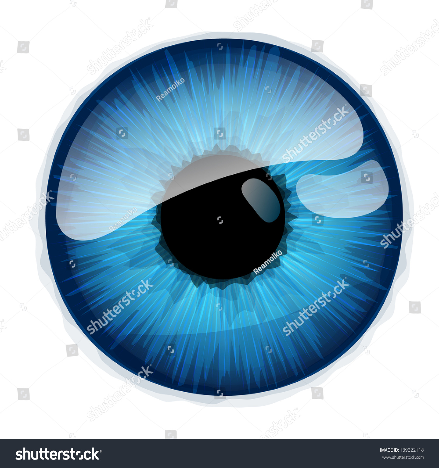 Human Eye Iris Isolated On White Stock Vector (Royalty Free) 189322118
