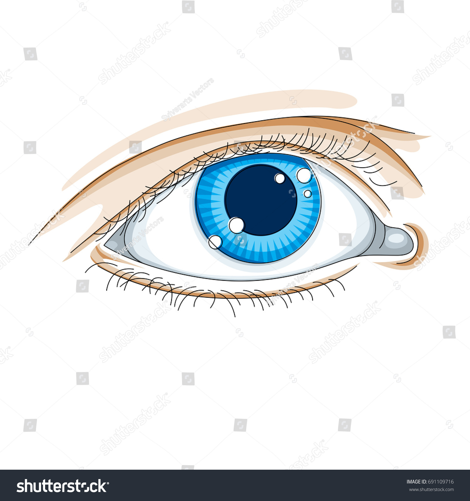 Human Eye Vector Illustration Isolated On Stock Vector (Royalty Free ...