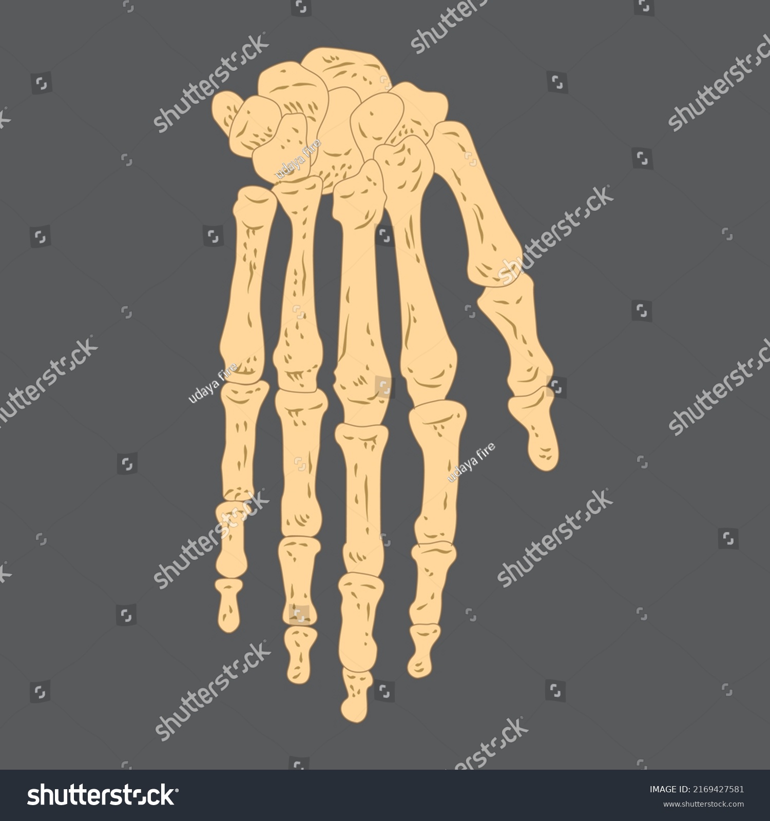Human Hand Bone On White Background Stock Vector (Royalty Free ...