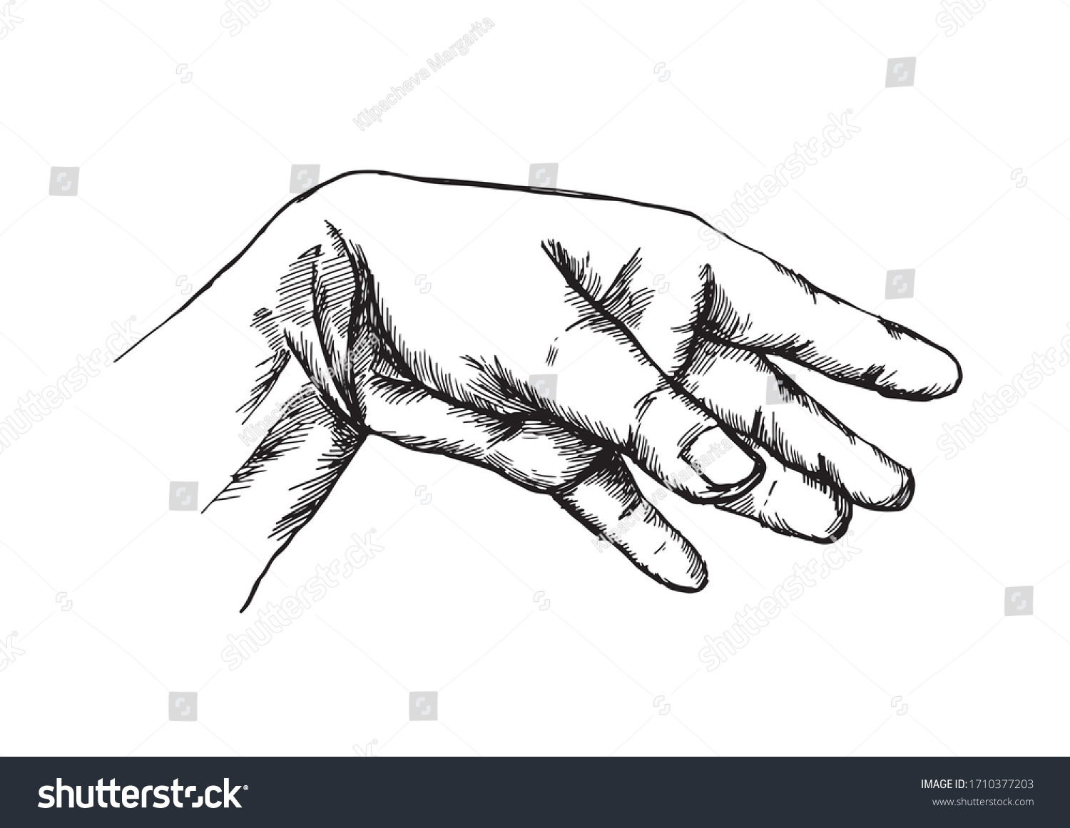 Human Hand Sketch Vector Illustration Stock Vector (Royalty Free ...
