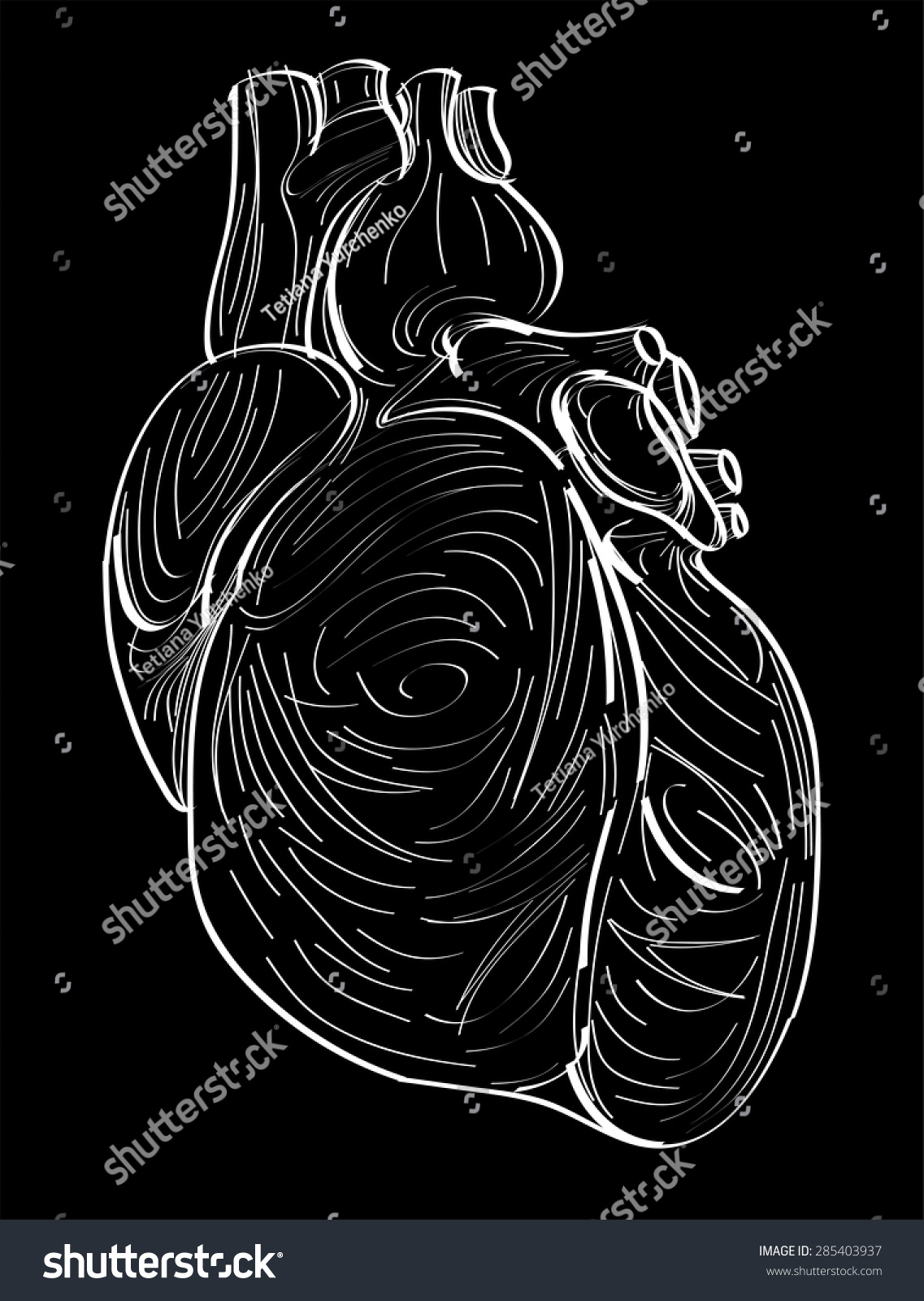 Human Heart Hands Sketch Vector Illustration Stock Vector Royalty Free