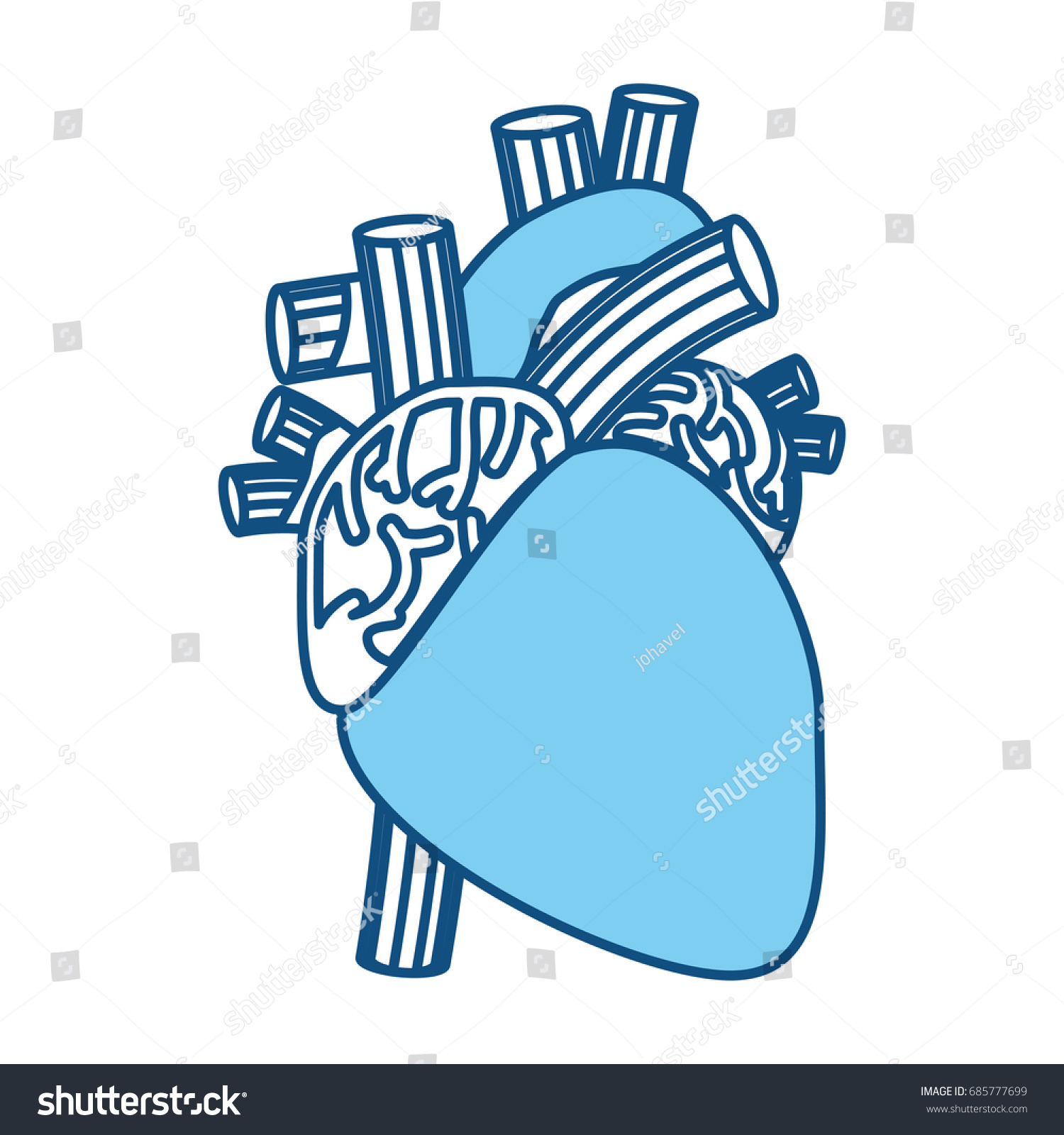 Human Heart Symbol Stock Vector (Royalty Free) 685777699