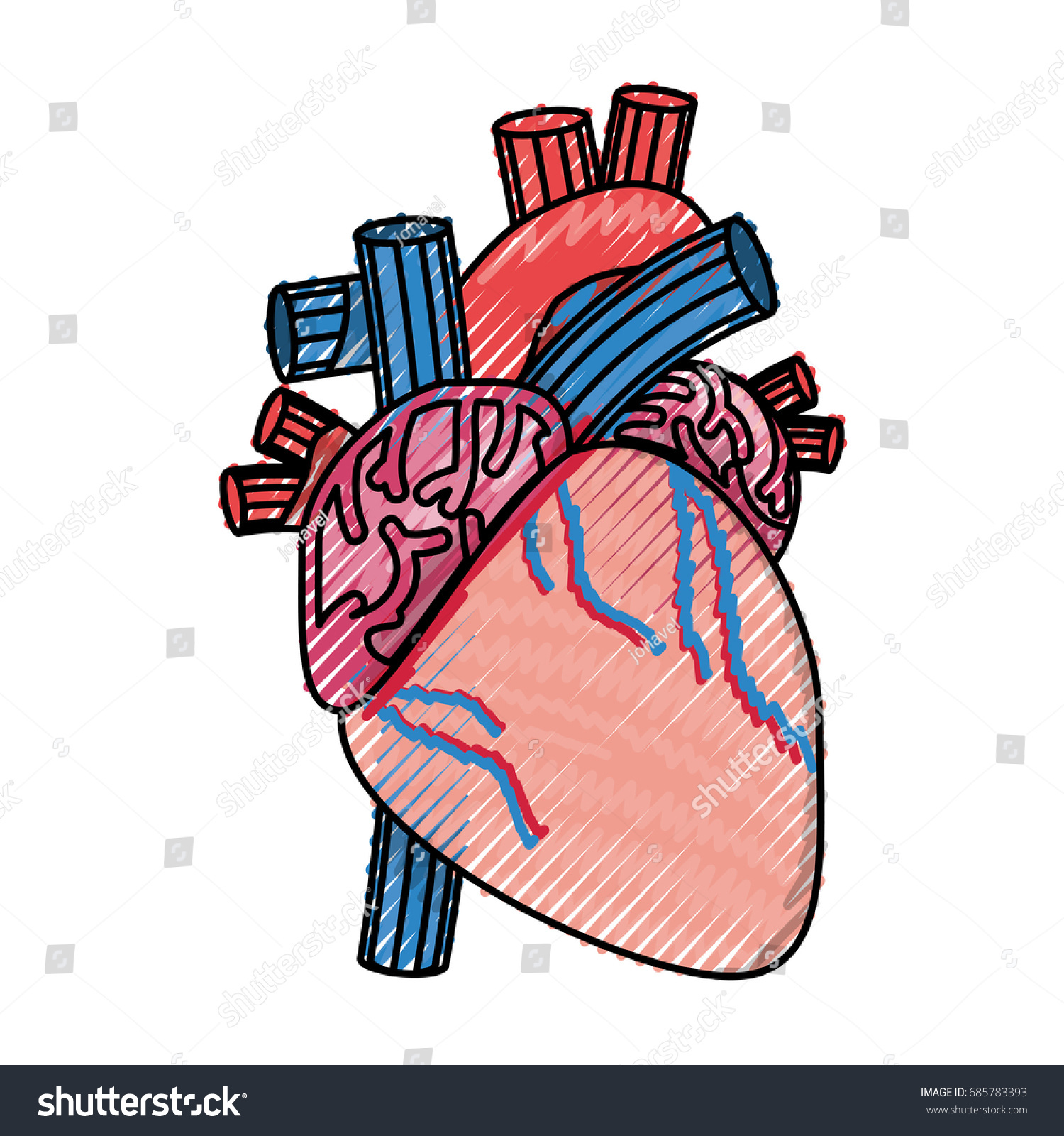 Human Heart Symbol Stock Vector (Royalty Free) 685783393