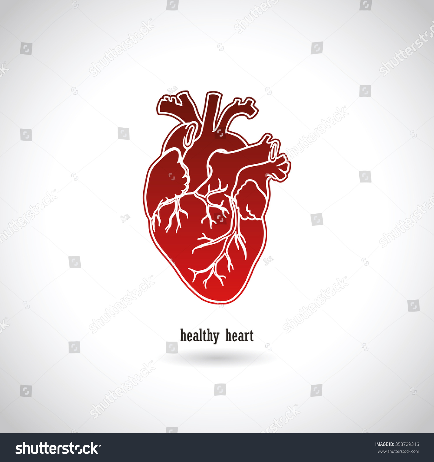 Human Heart Symbol Vector Illustration Stock Vector (Royalty Free ...