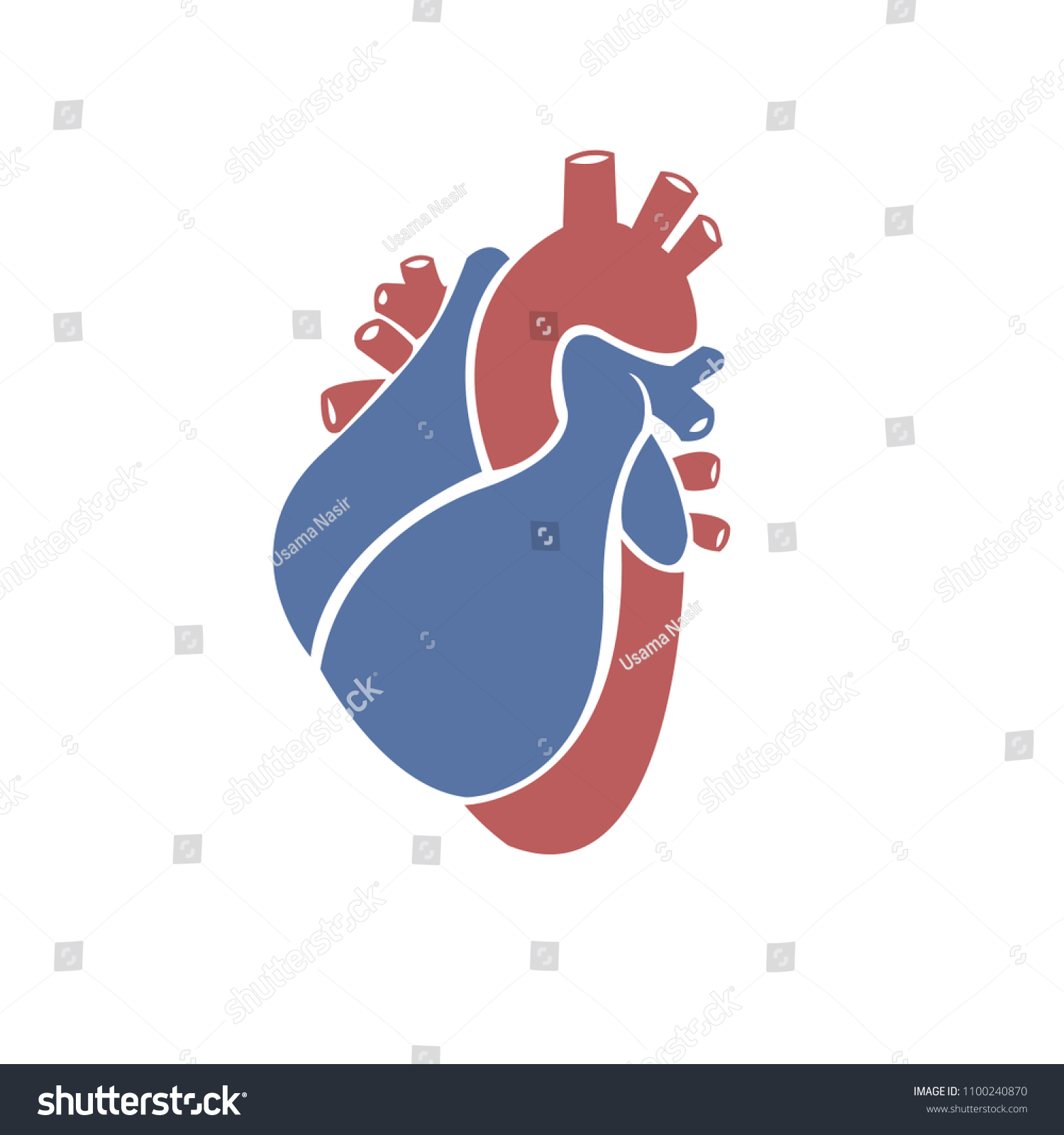 1 Dil organ Images, Stock Photos & Vectors | Shutterstock