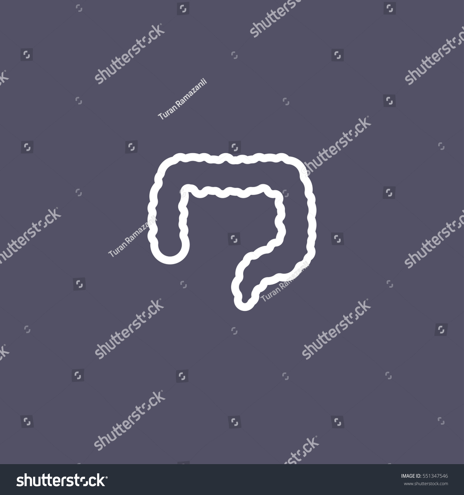 Human Intestines Icon Stock Vector (Royalty Free) 551347546 | Shutterstock