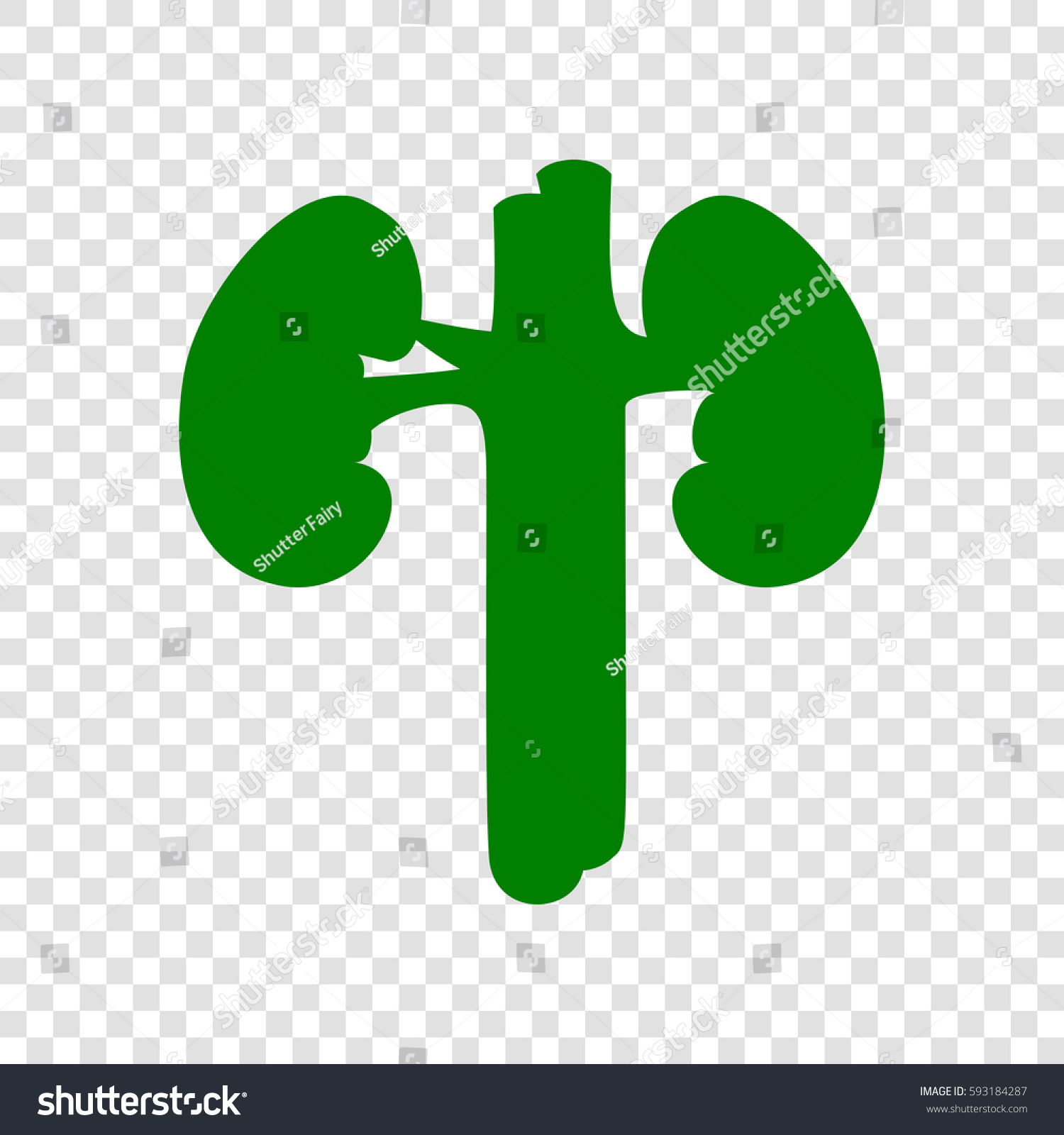Vektor Stok Human Kidney Medical Diagram Vector Dark (Tanpa Royalti ... Vektor Stok Human Kidney Medical Diagram Vector Dark (Tanpa Royalti ...