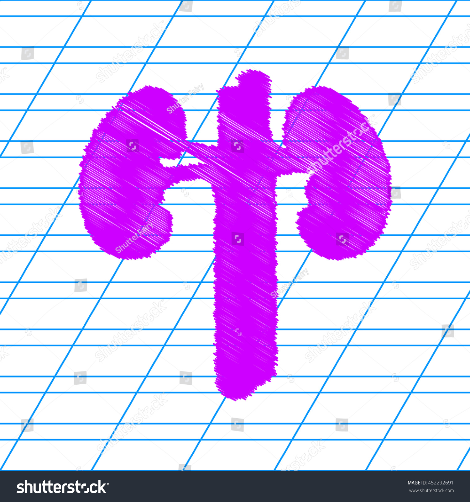 Human Kidney Medical Diagram Violet Scribble Stock Vector (Royalty Free ... Human Kidney Medical Diagram Violet Scribble Stock Vector (Royalty Free ...
