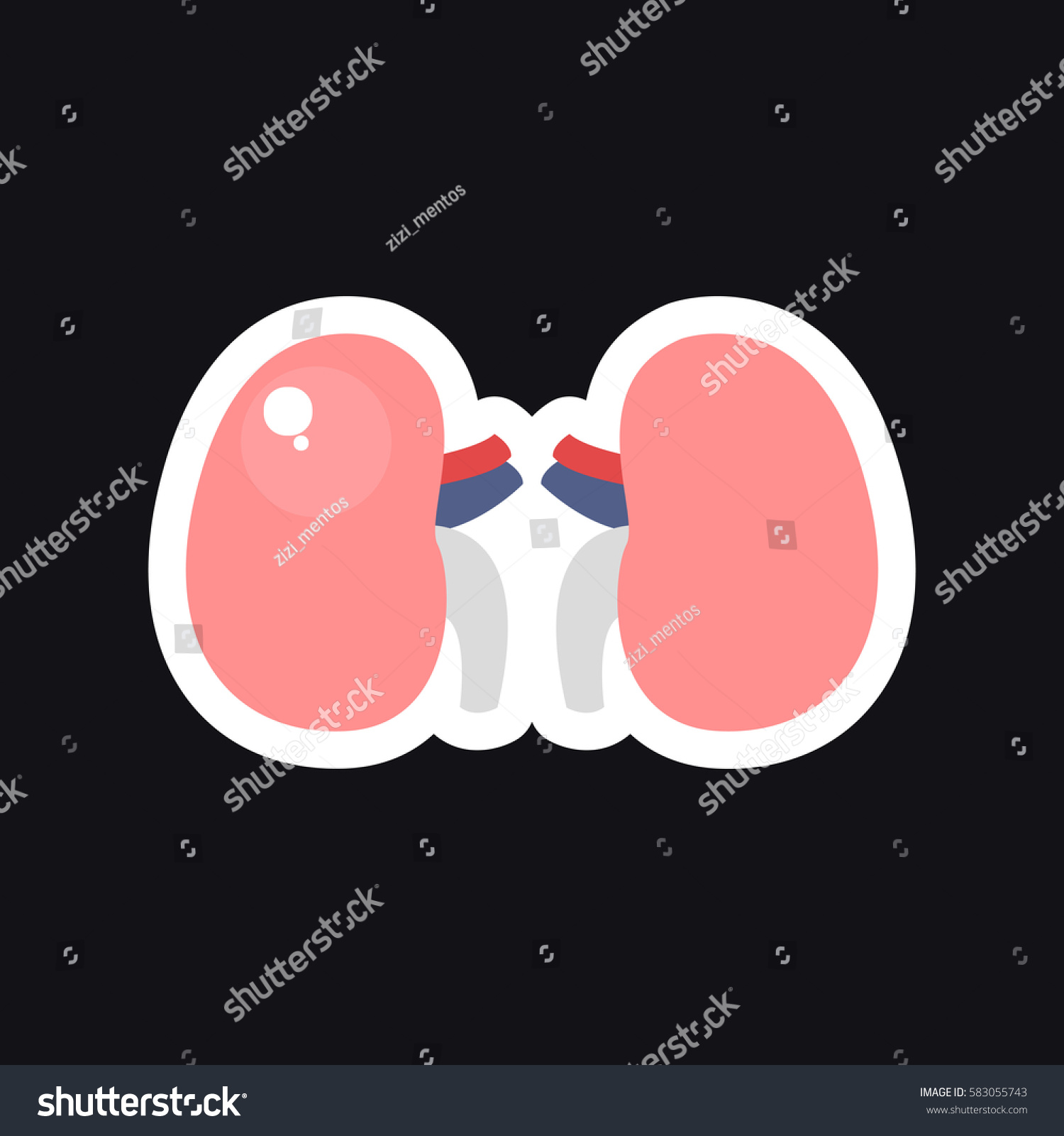 Human Kidneys Sticker Vector Illsutration Stock Vector (Royalty Free ...