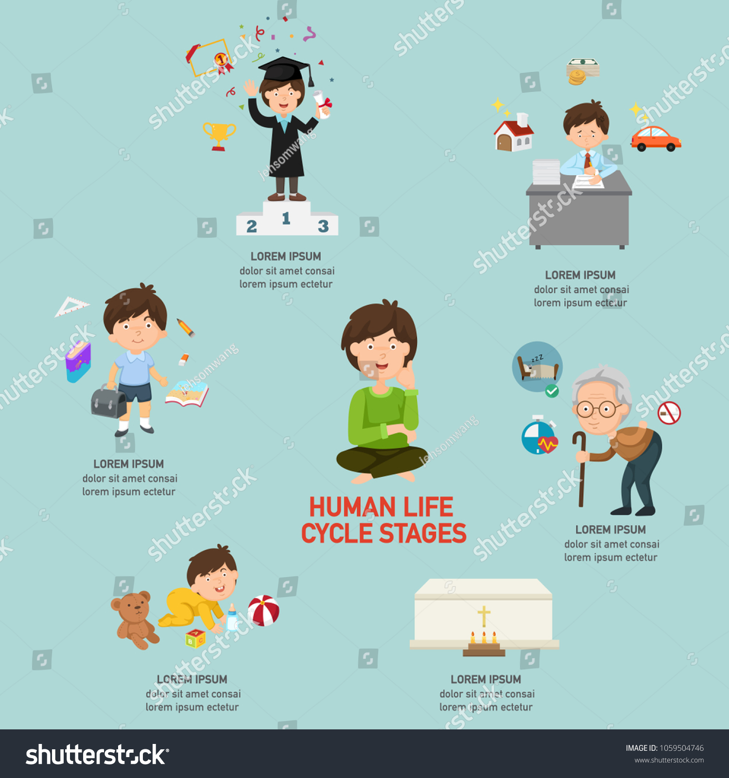 Human Life Cycle Stages Infographicvector Illustration 库存矢量图(免版税)1059504746 Shutterstock