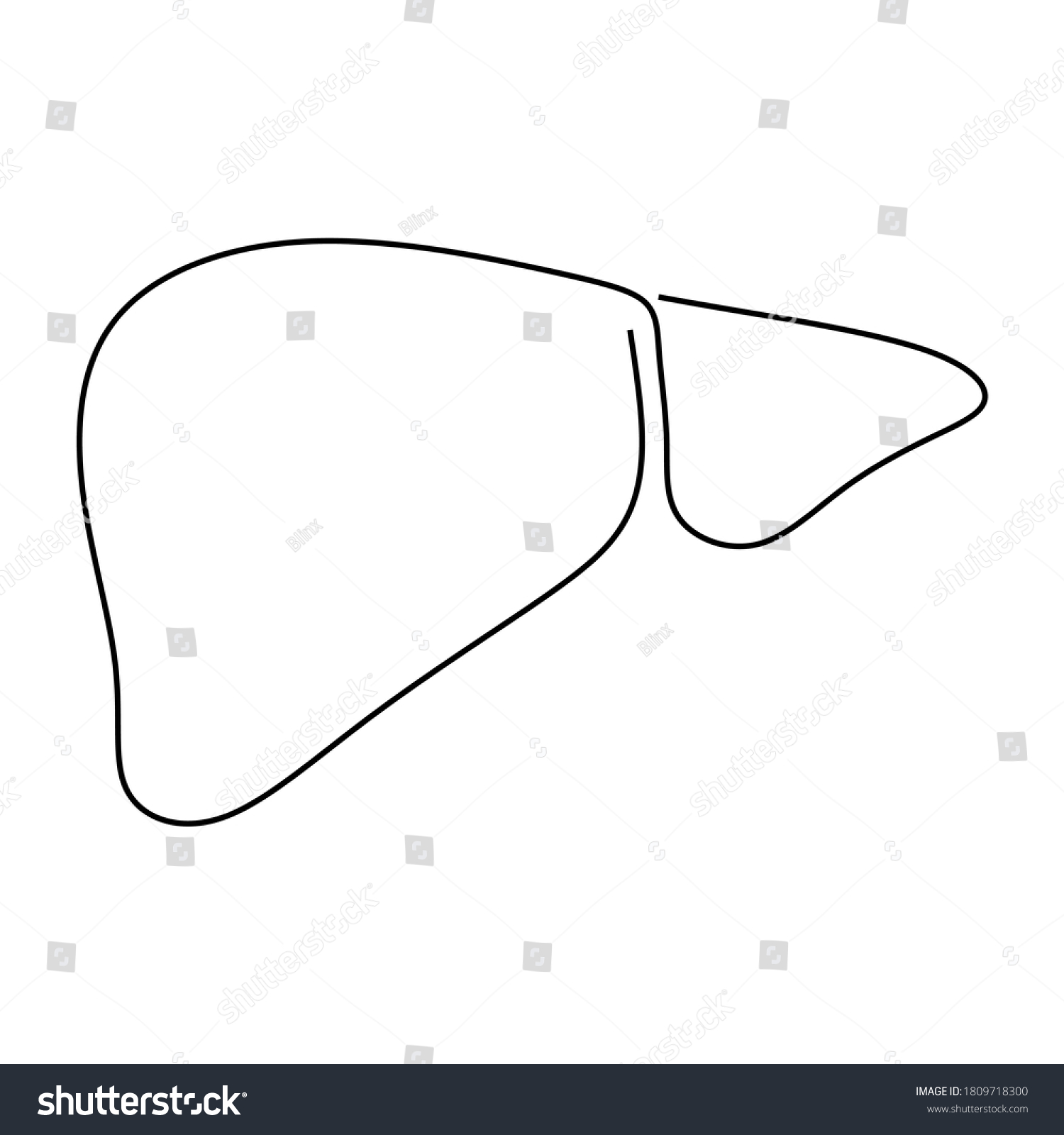 Human Liver Continuous One Line Drawing Stock Vector (Royalty Free ...