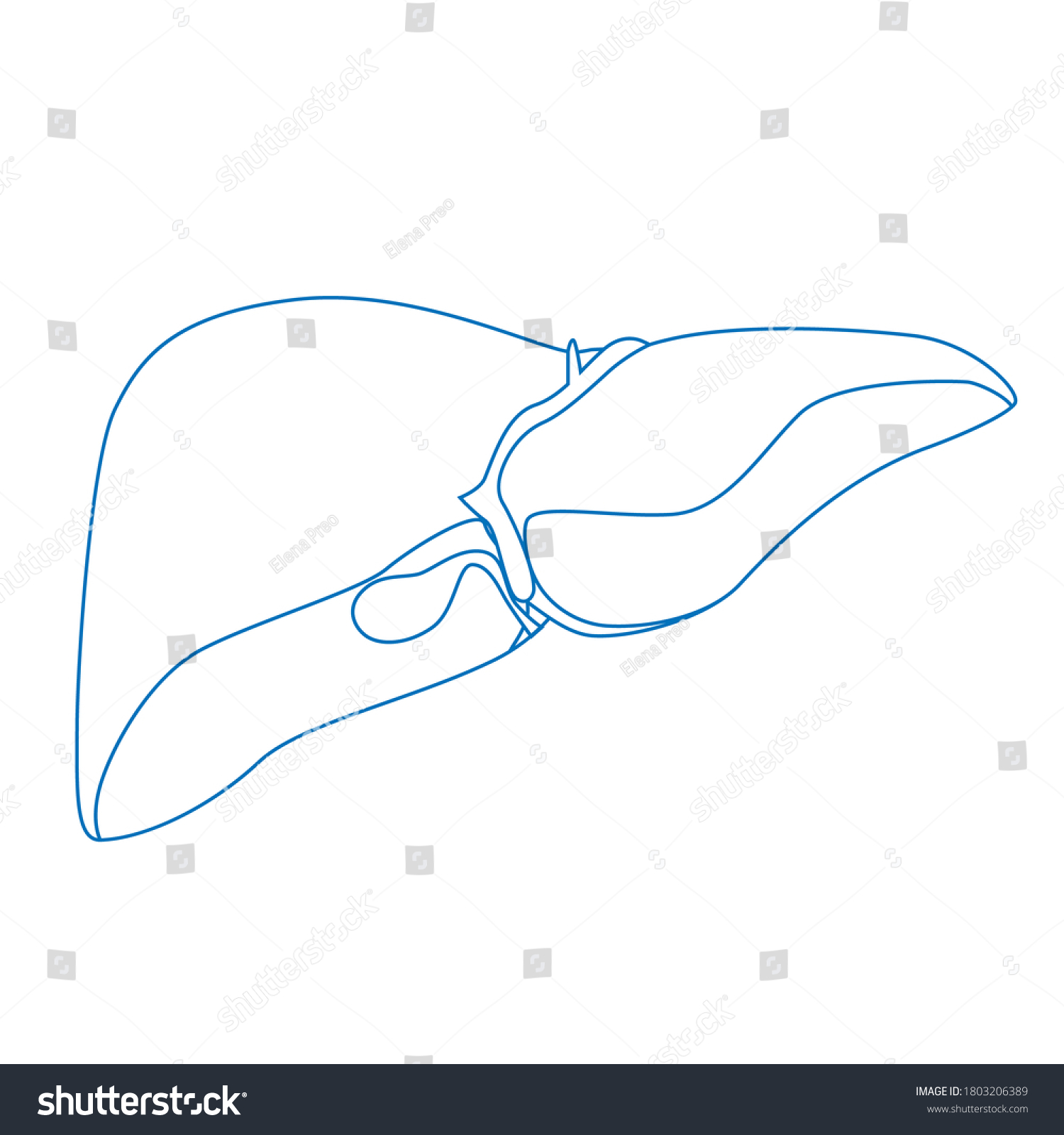 Human Liver Outline Icon Digestive System: vetor stock (livre de ...