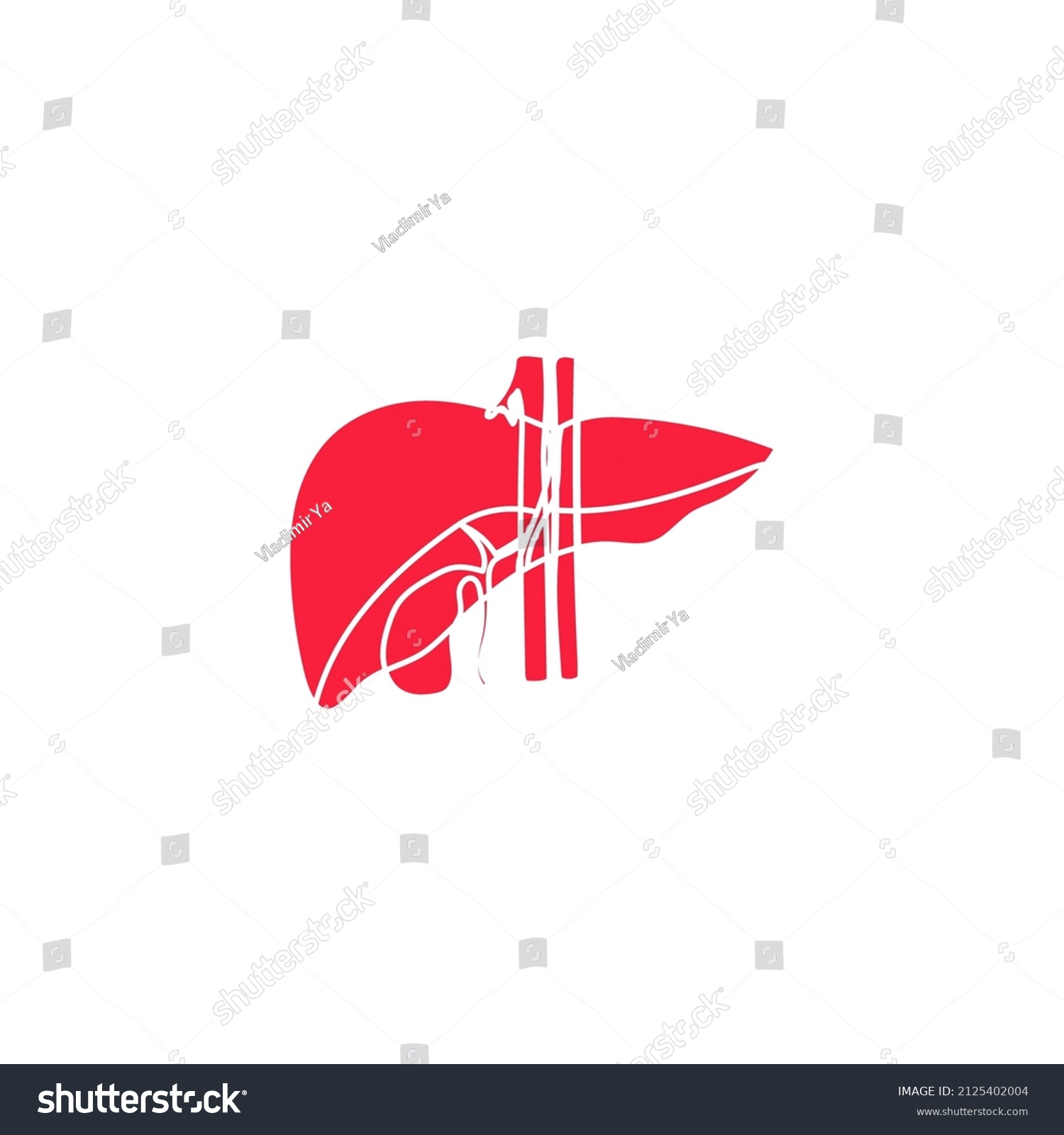 Human Liver Vector Image Eps10 Stock Vector (Royalty Free) 2125402004