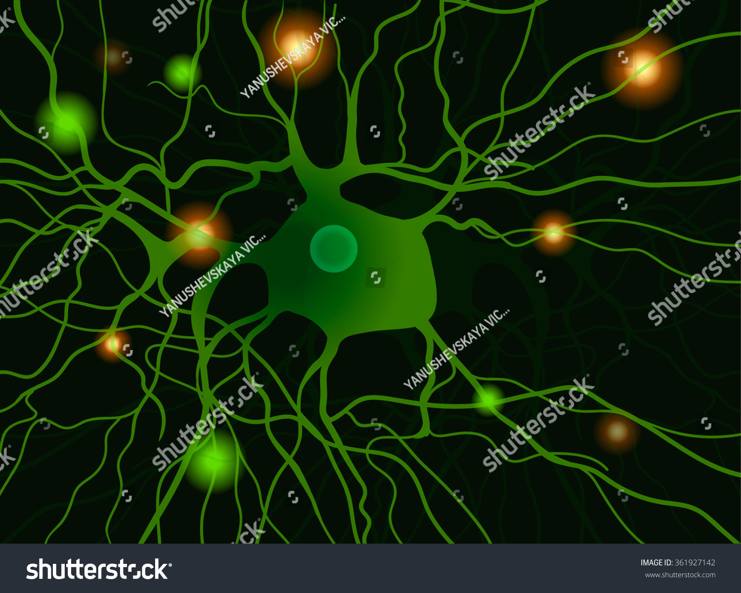 Human Nerve Cell Background Vector Illustration: Vector có sẵn (miễn ...