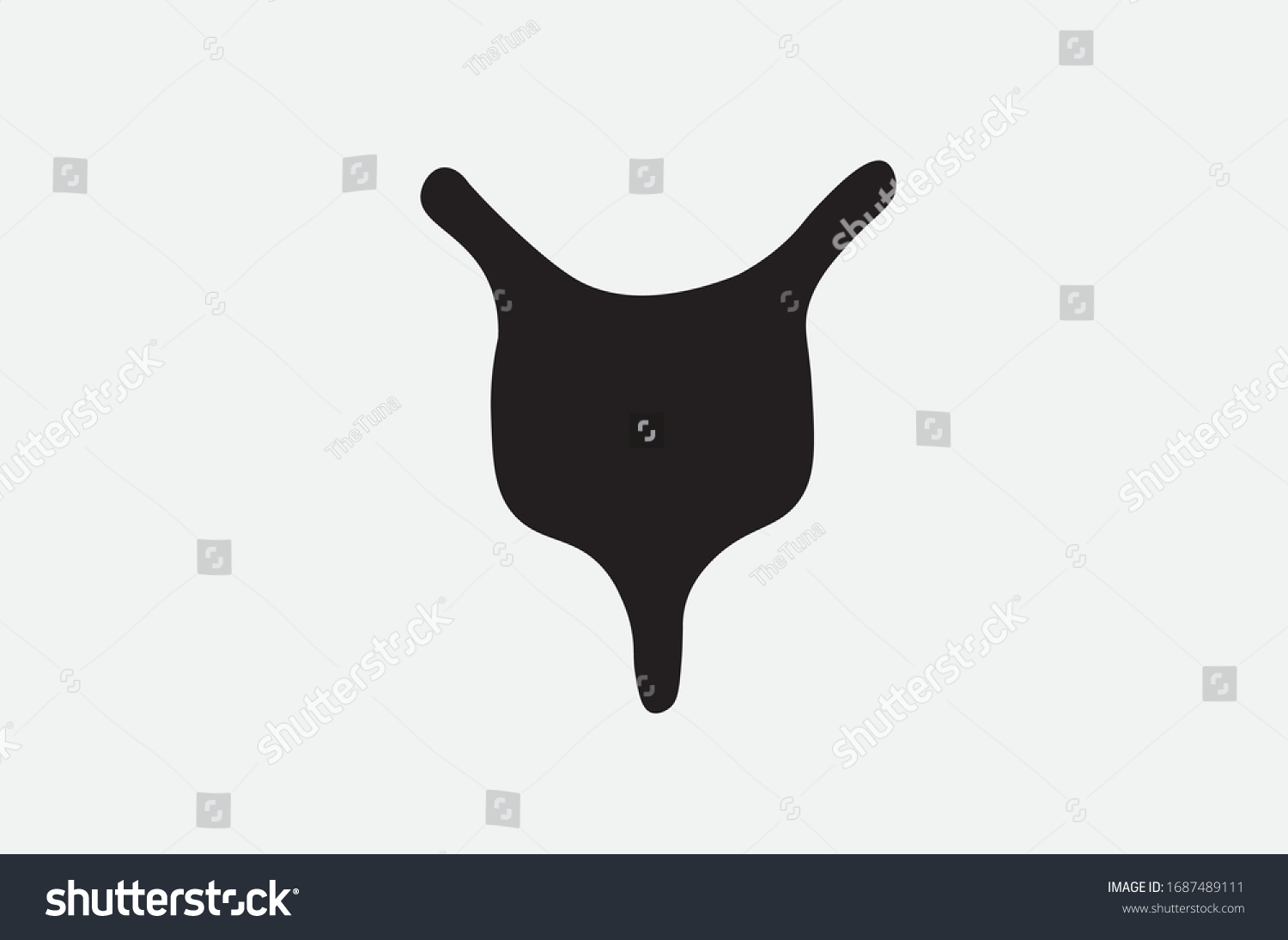 Human Organ Bladder Urinary Tract Vector: เวกเตอร์สต็อก (ปลอดค่า ... Human Organ Bladder Urinary Tract Vector: เวกเตอร์สต็อก (ปลอดค่า ...