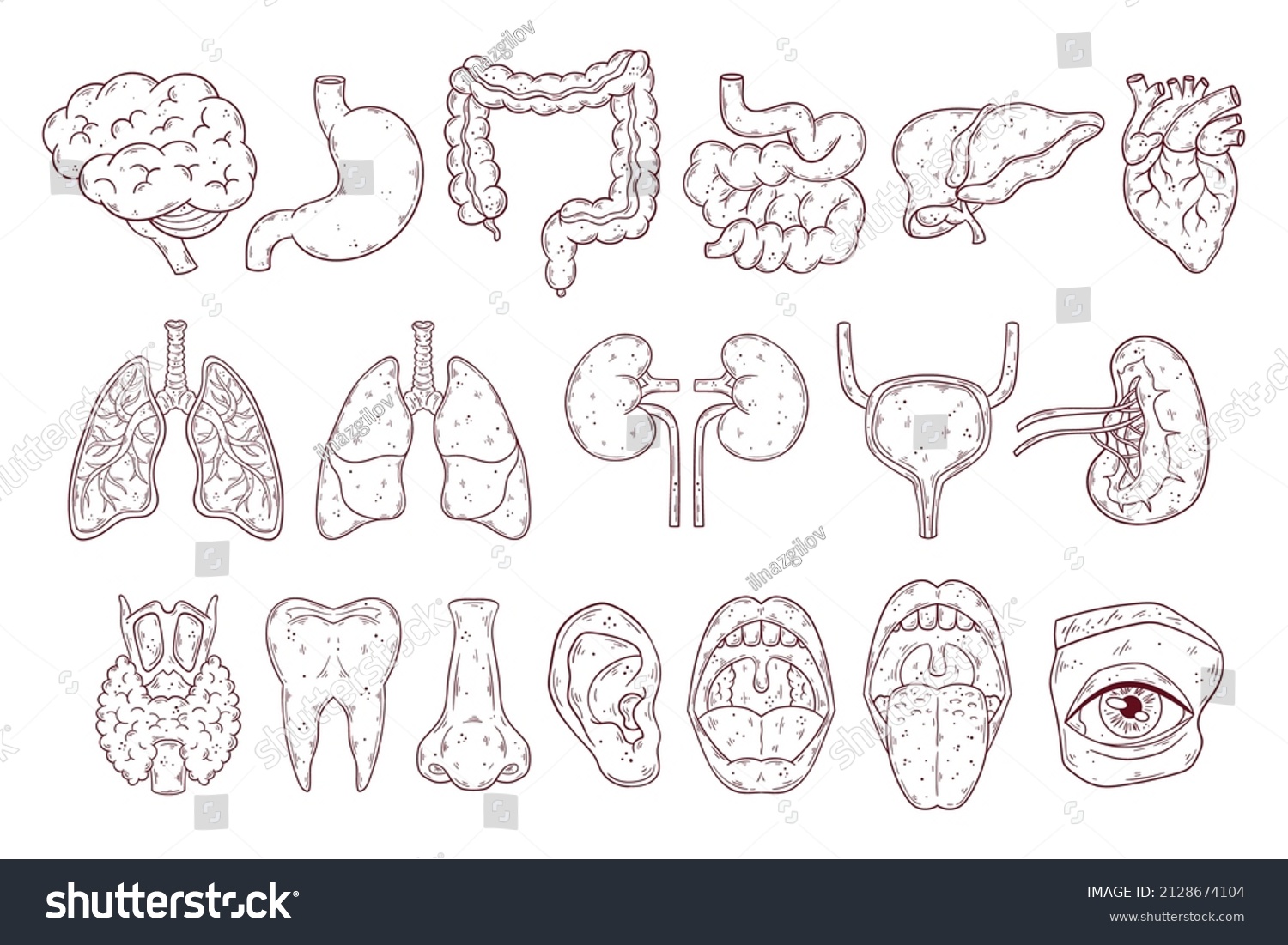 Human Organs Hand Drawn Vector Set Stock Vector (Royalty Free ...
