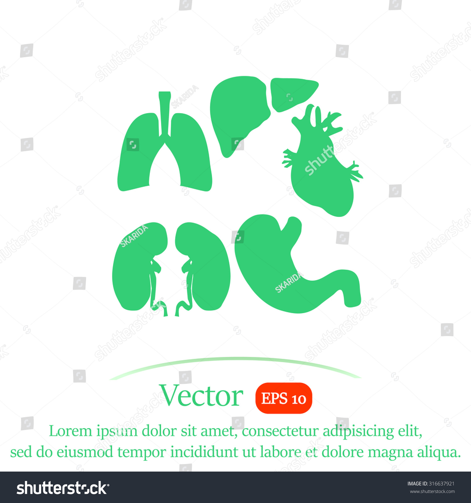 Human Organs Icons Set Medical Symbols เวกเตอร์สต็อก ปลอดค่าลิขสิทธิ์
