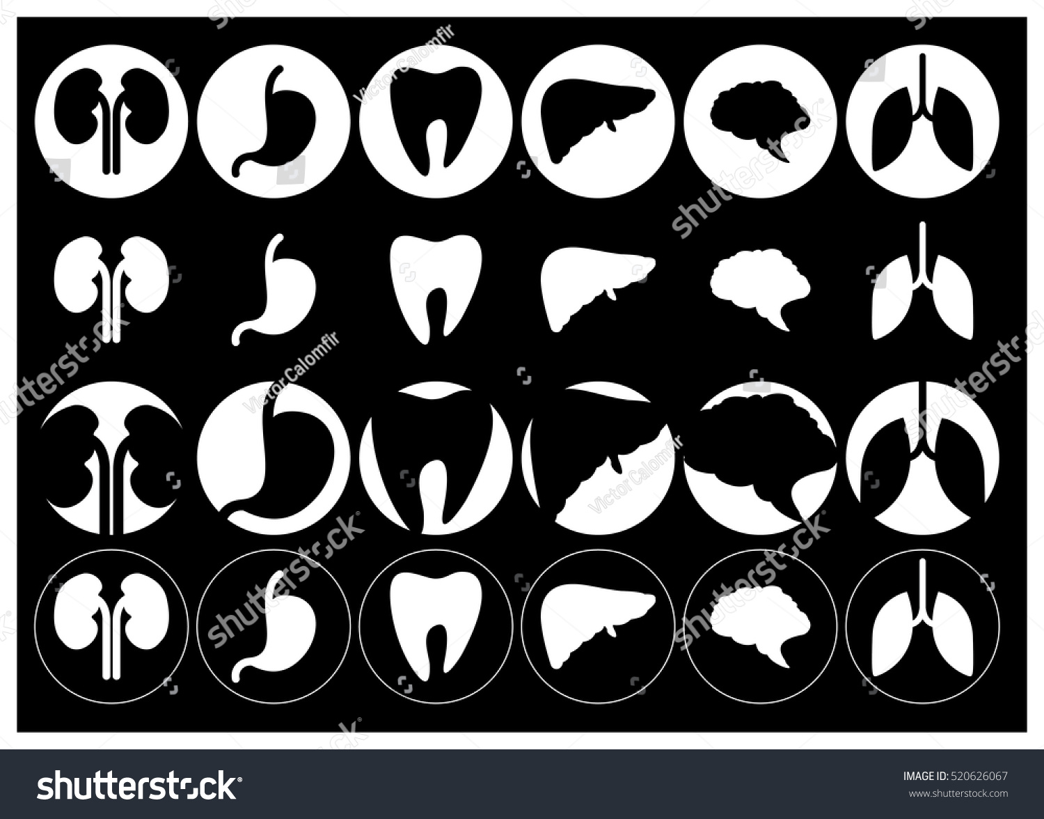 Human Organs Vector Icons Collection Stock Vector (Royalty Free) 520626067