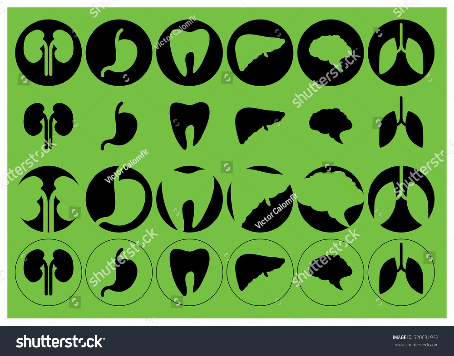 Human Organs Vector Icons Collection Stock Vector (Royalty Free ...