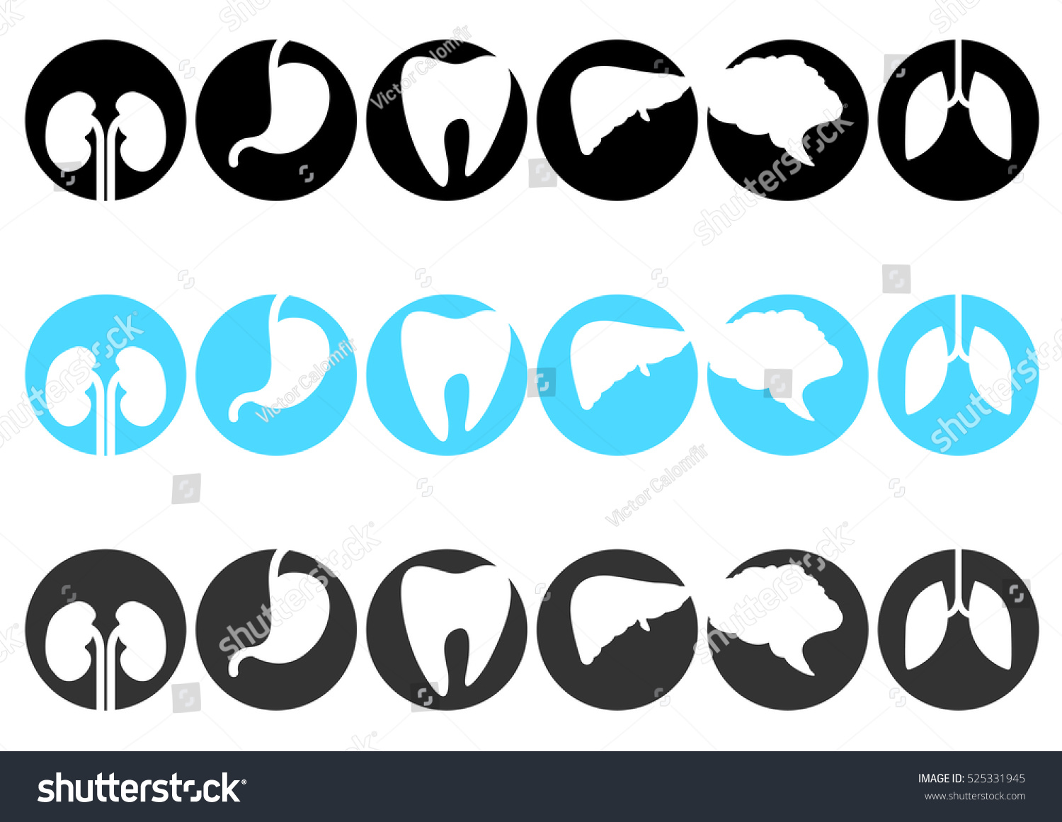 Human Organs Vector Icons Collection Set: vector de stock (libre de ...