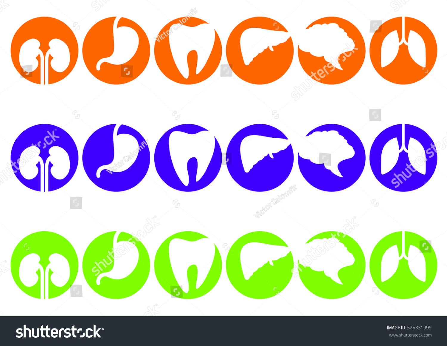 Human Organs Vector Icons Collection Set: Vector có sẵn (miễn phí bản ...
