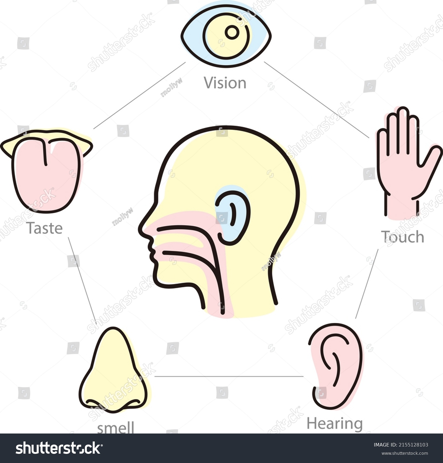 Human Senses Icon Set Vector Illustration Stock Vector (Royalty Free ...