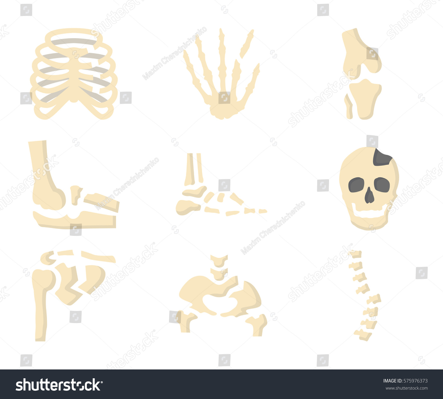 Human Skeleton Bone Broken Flat Icon Stock Vector (Royalty Free ...