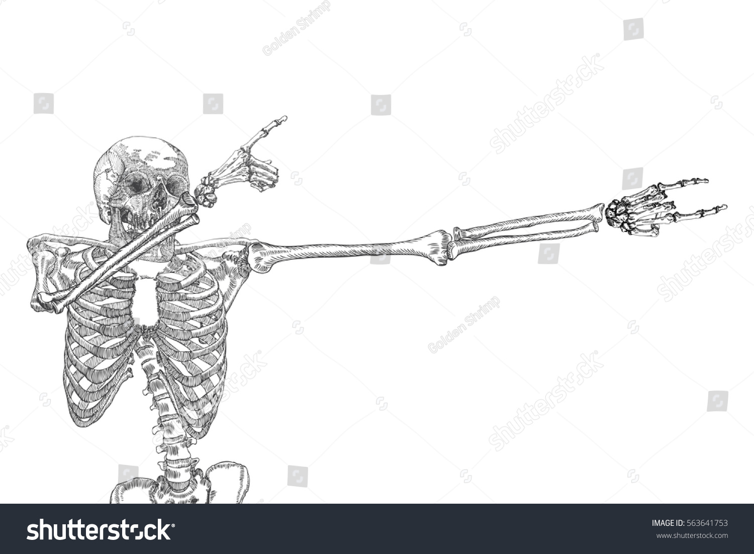 Human Skeleton Dancing Dab Perform Dabbing Stock Vector (Royalty Free ...