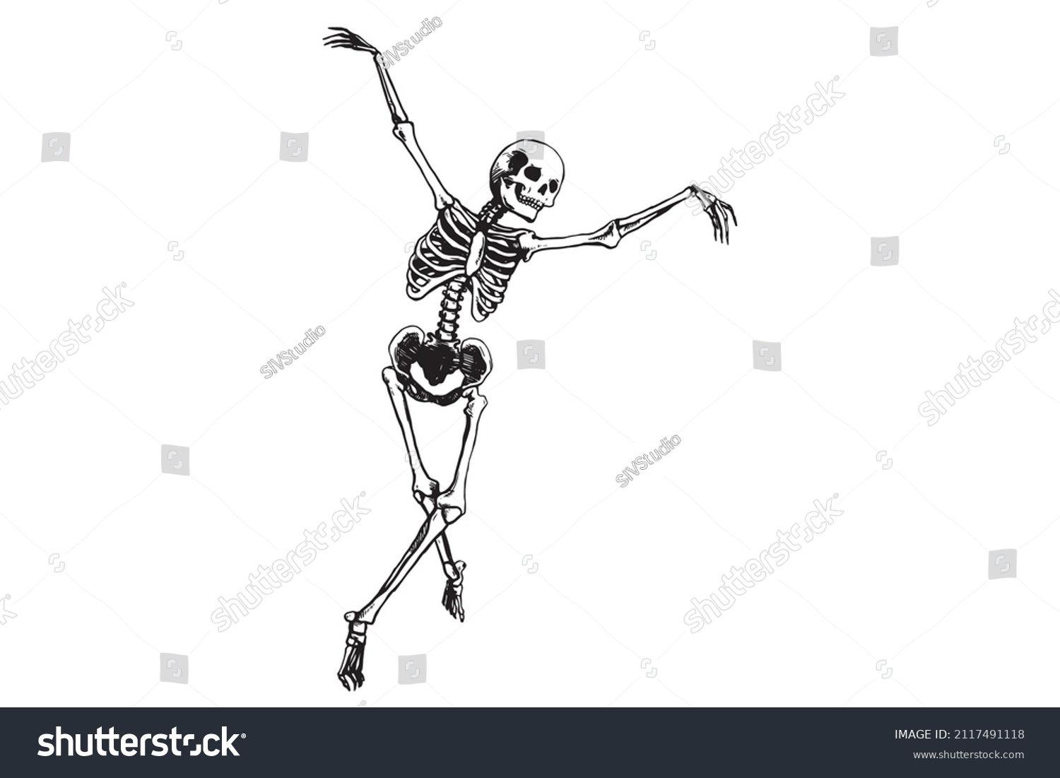 Human Skeleton Movement Isolated On White Stock Vector (Royalty Free ...