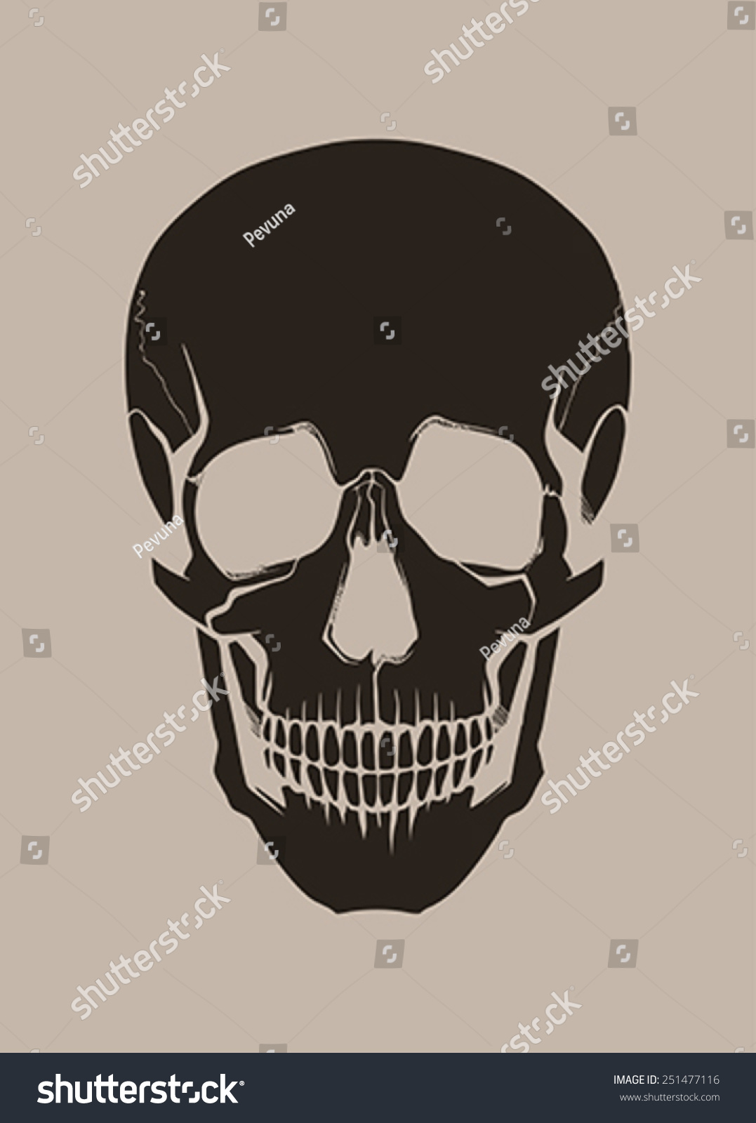 Human Skull Stock Vector (Royalty Free) 251477116 | Shutterstock