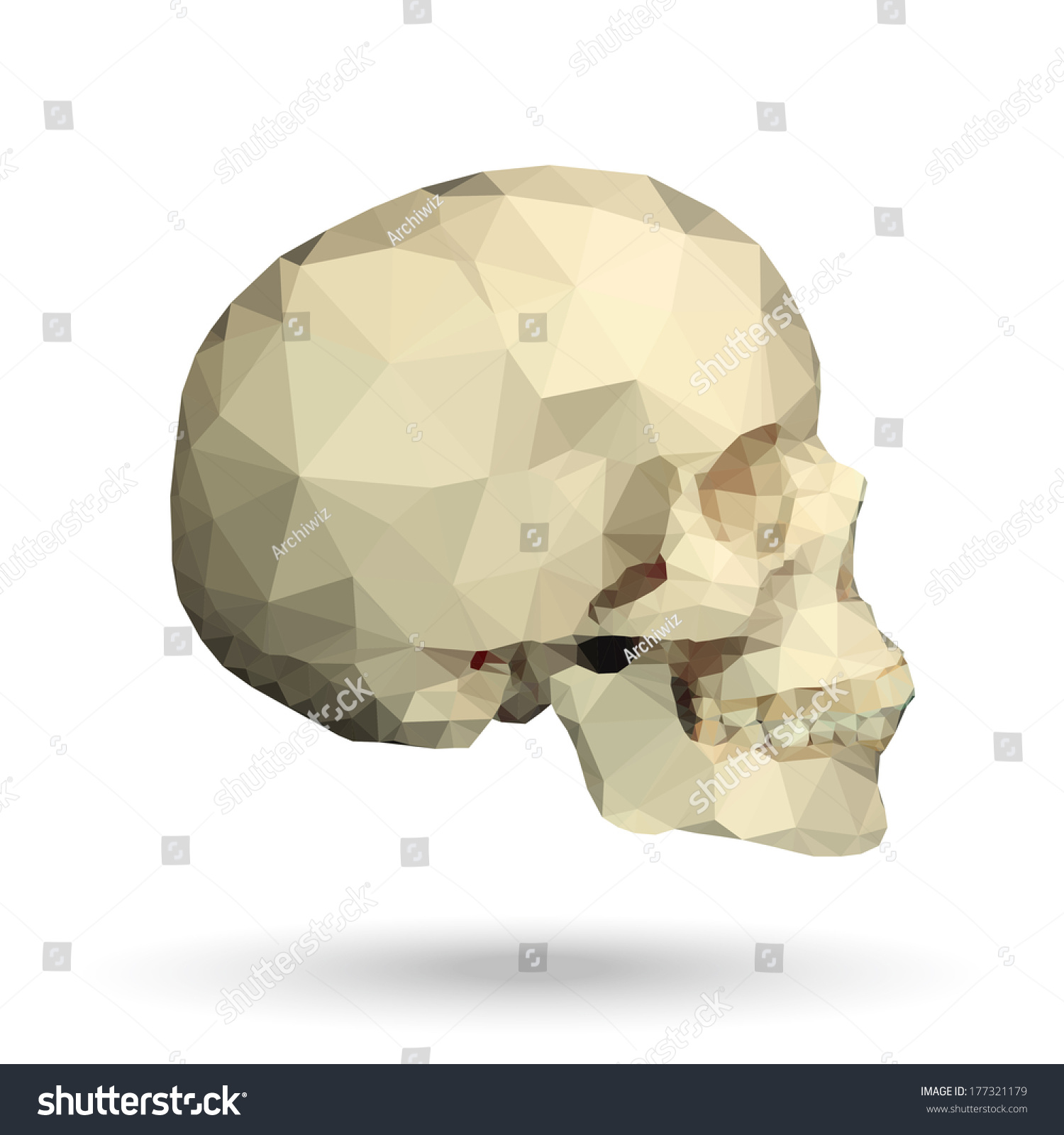 Human Skull Side View Made Triangles Stock Vector 177321179 - Shutterstock