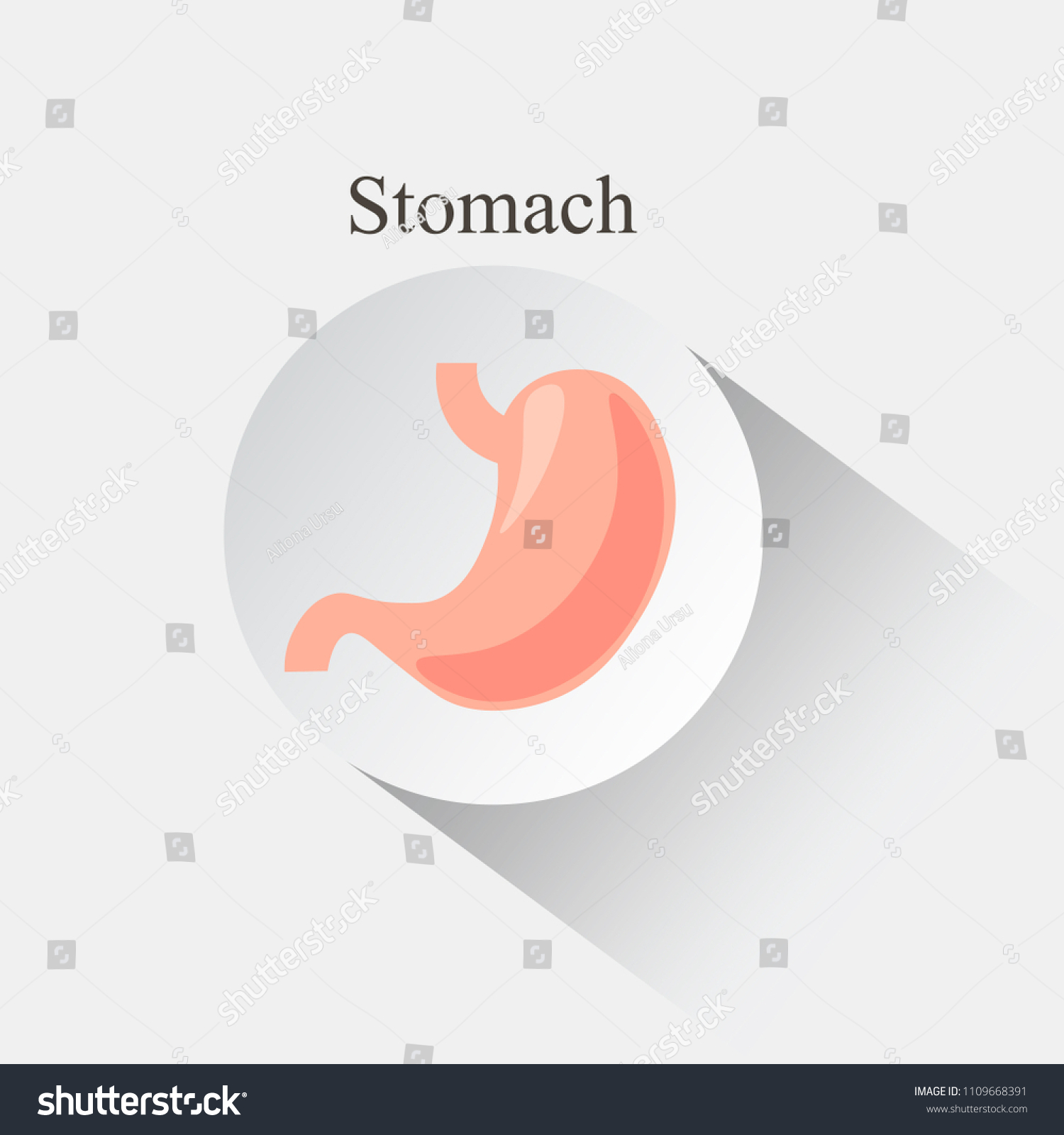 Human Stomach Icon Design Internal Organs Stock Vector (Royalty Free ...