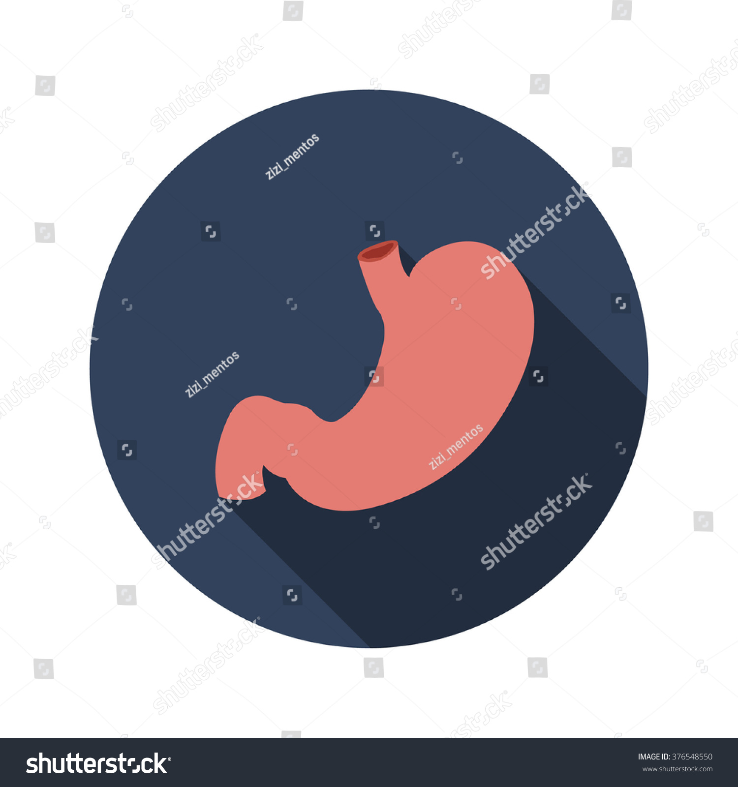 Human Stomach Vector Illustration Stock Vector (Royalty Free) 376548550 ...