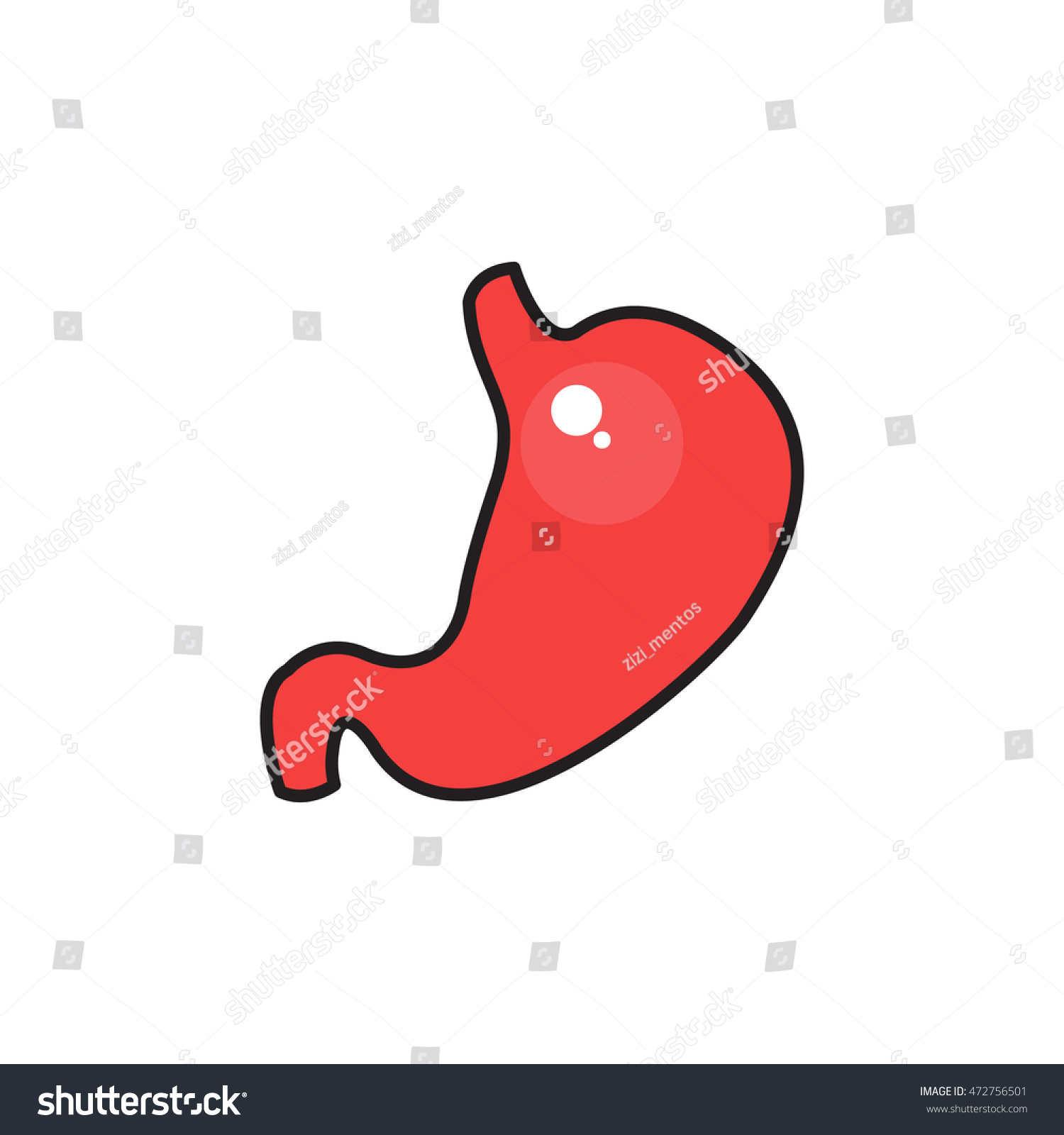 Human Stomach Vector Illustration Stock Vector (Royalty Free) 472756501