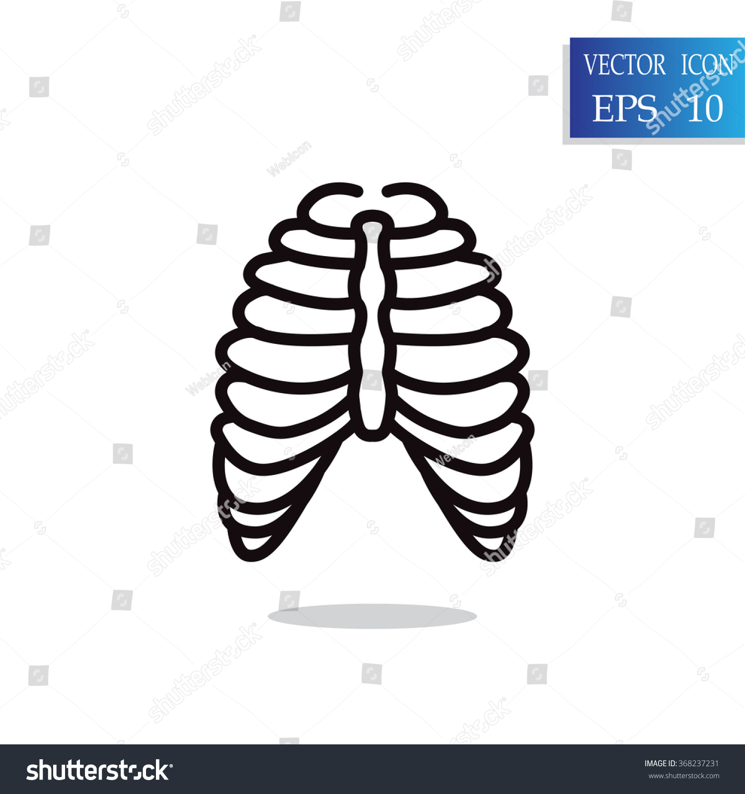 Human Thorax Icon Stock Vector (Royalty Free) 368237231 | Shutterstock