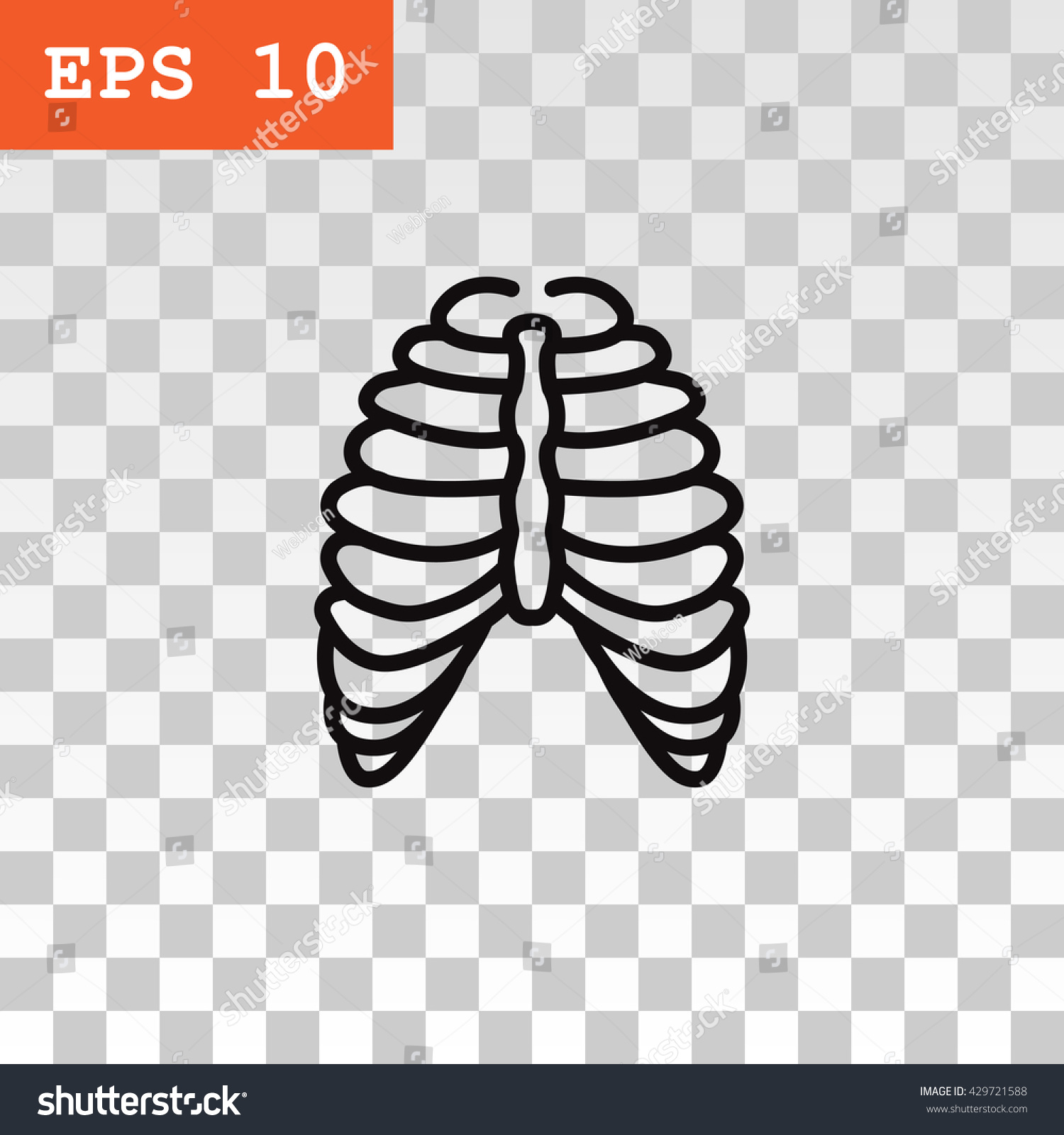 Human Thorax Icon Stock Vector (Royalty Free) 429721588